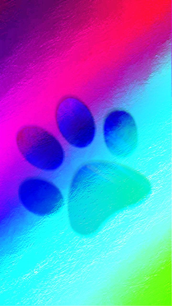 Paw Print Wallpapers - Top Free Paw Print Backgrounds - WallpaperAccess