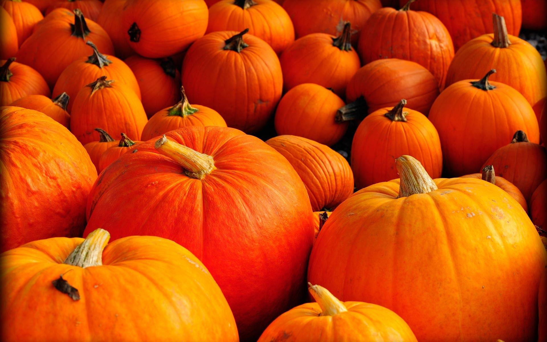 Pumpkin Desktop Wallpapers - Top Free Pumpkin Desktop Backgrounds ...