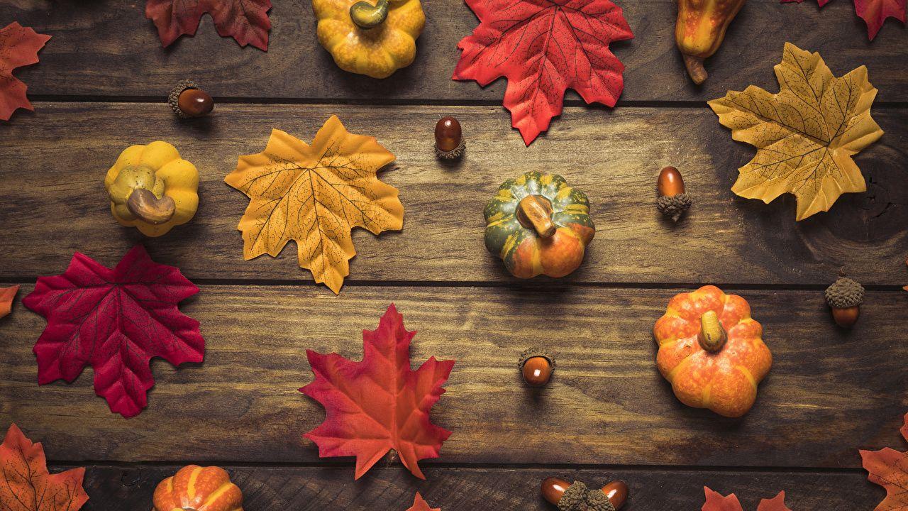 Pumpkin Desktop Wallpapers - Top Free Pumpkin Desktop Backgrounds ...