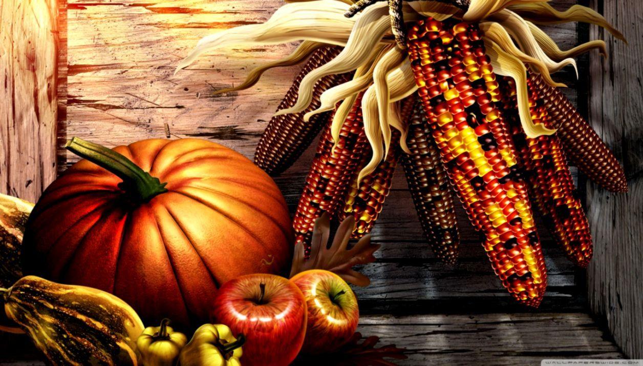 Pumpkin Desktop Wallpapers - Top Free Pumpkin Desktop Backgrounds ...