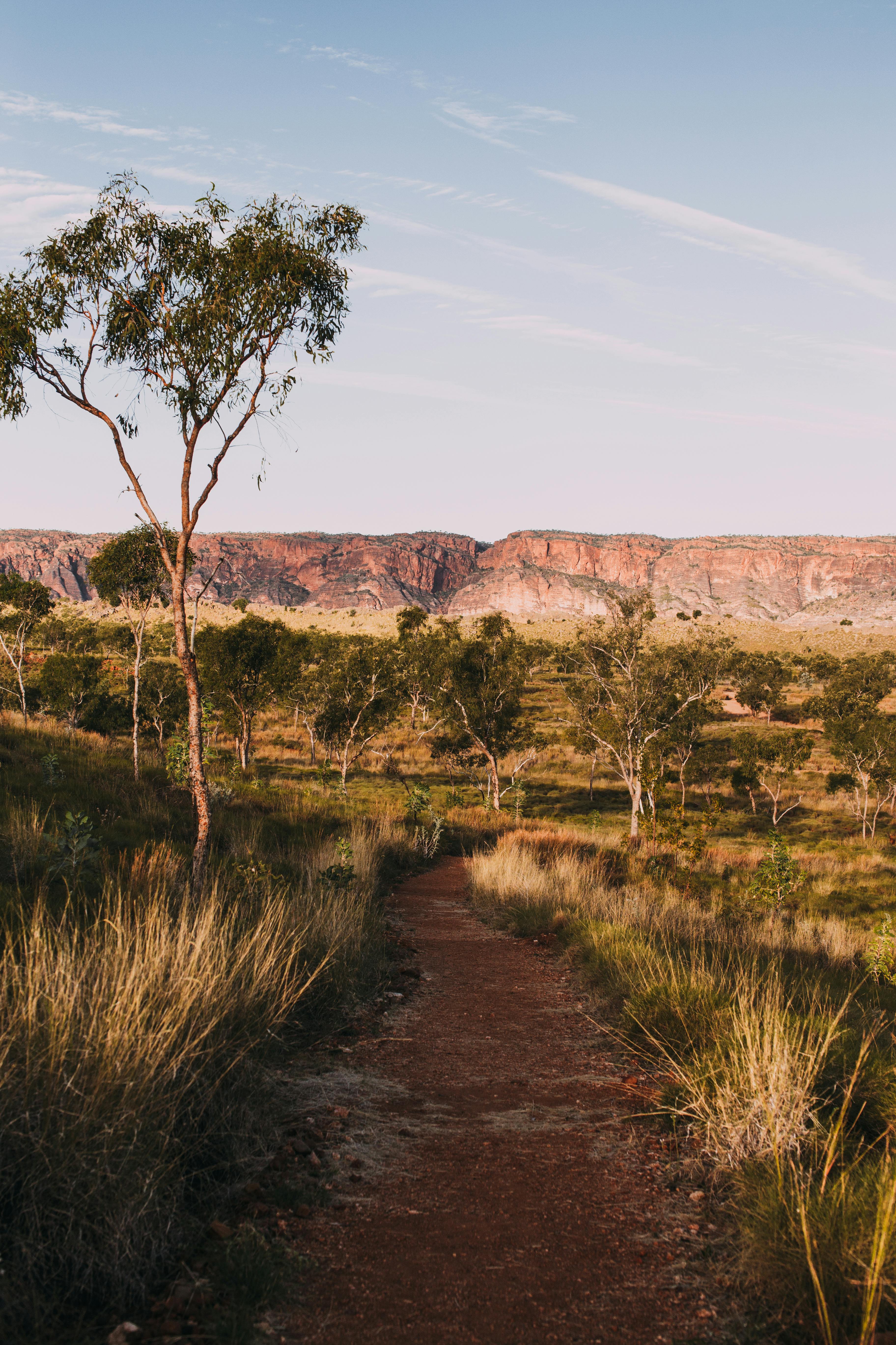 Australian Bush Wallpapers - Top Free Australian Bush Backgrounds ...