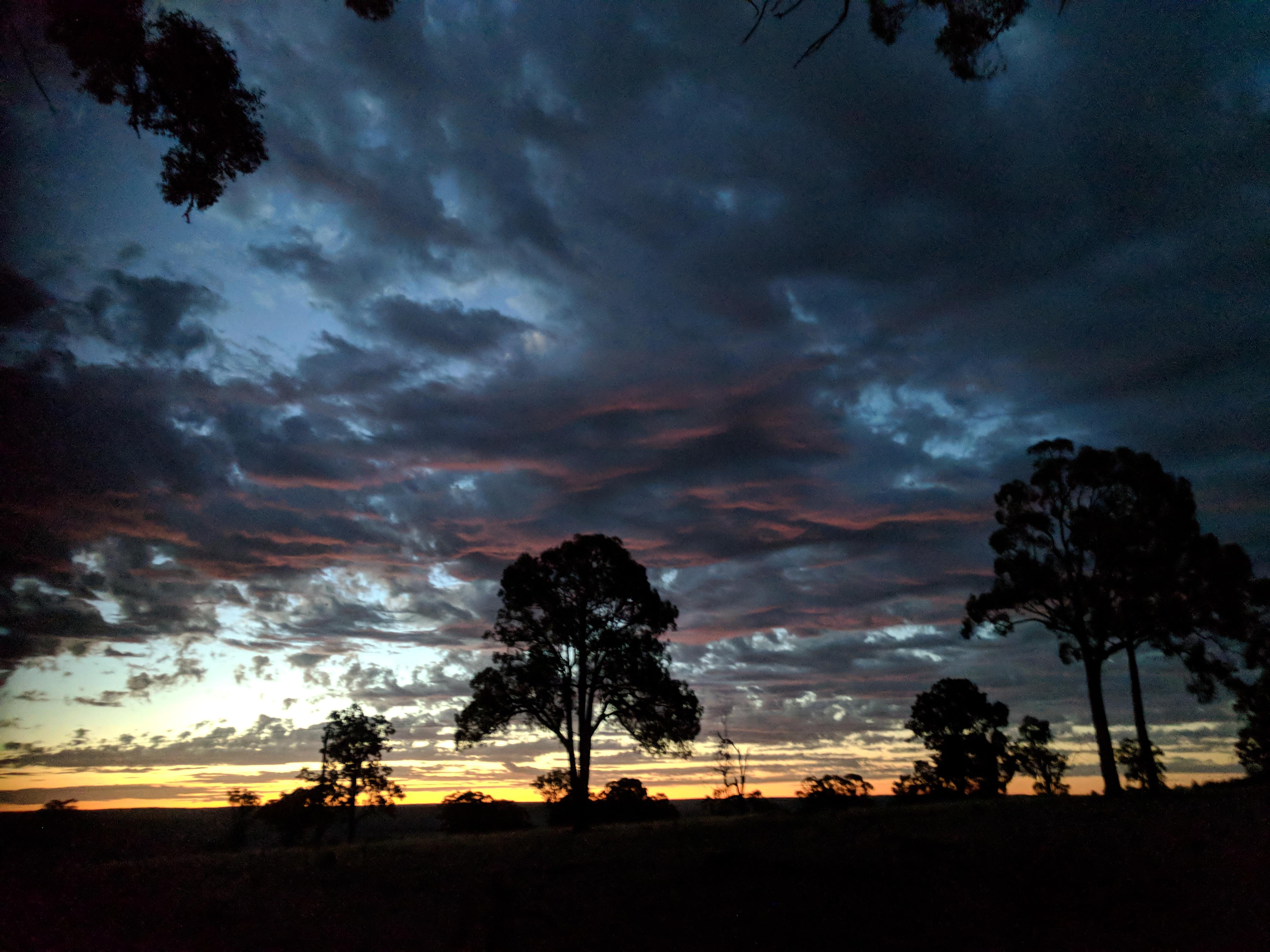 Australian Bush Wallpapers - Top Free Australian Bush Backgrounds ...