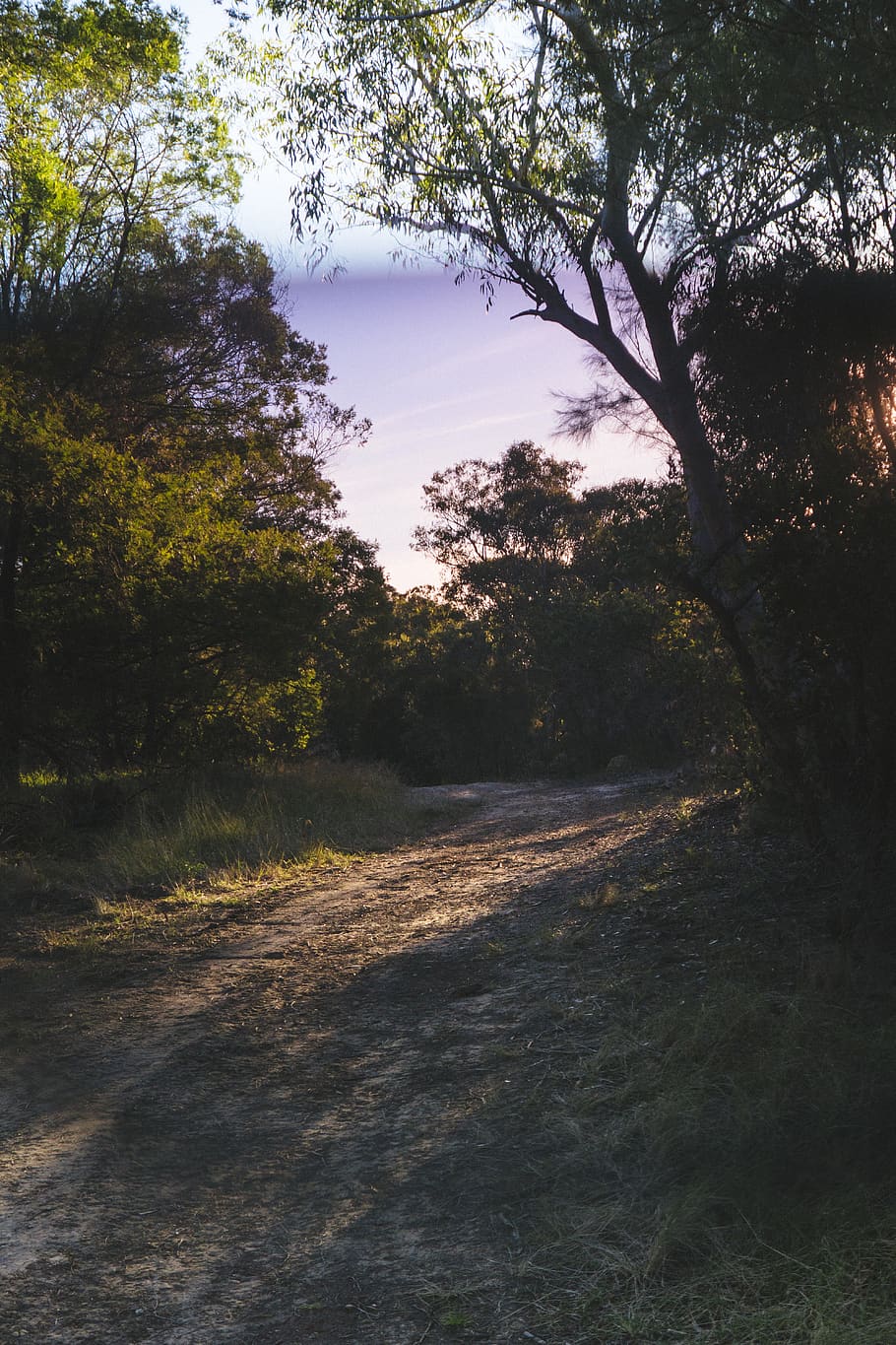Australian Bush Wallpapers - Top Free Australian Bush Backgrounds ...