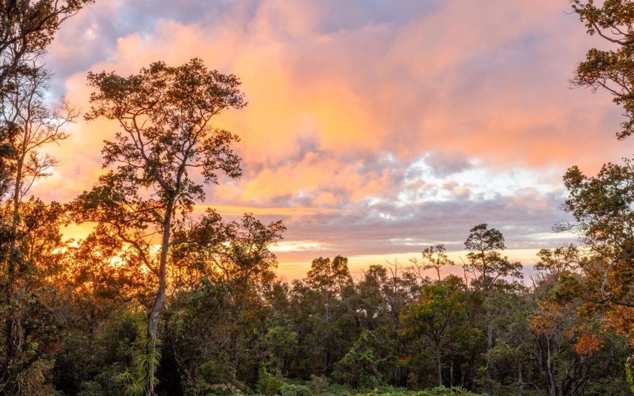 Australian Bush Wallpapers - Top Free Australian Bush Backgrounds ...