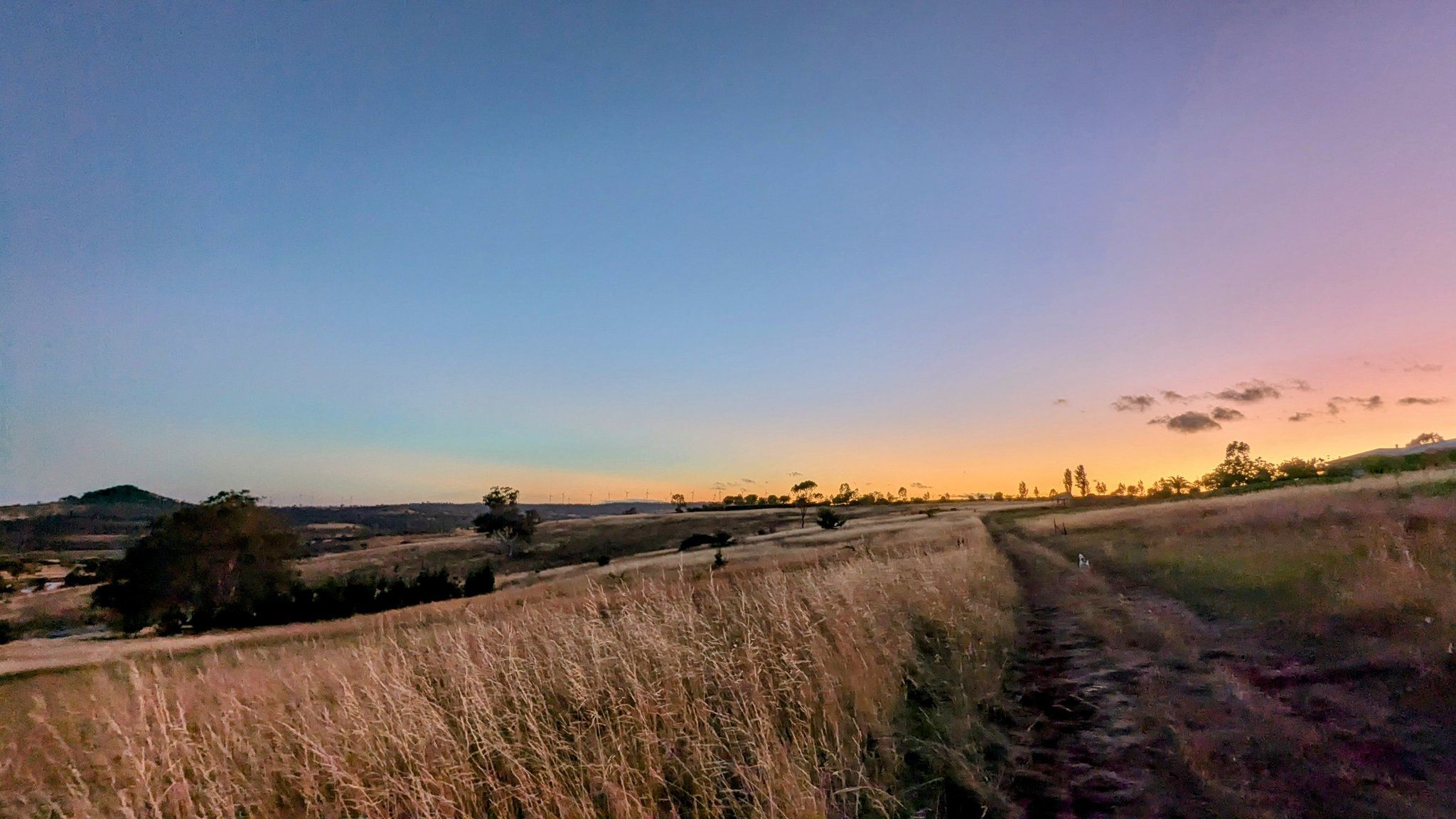 Australian Bush Wallpapers - Top Free Australian Bush Backgrounds ...