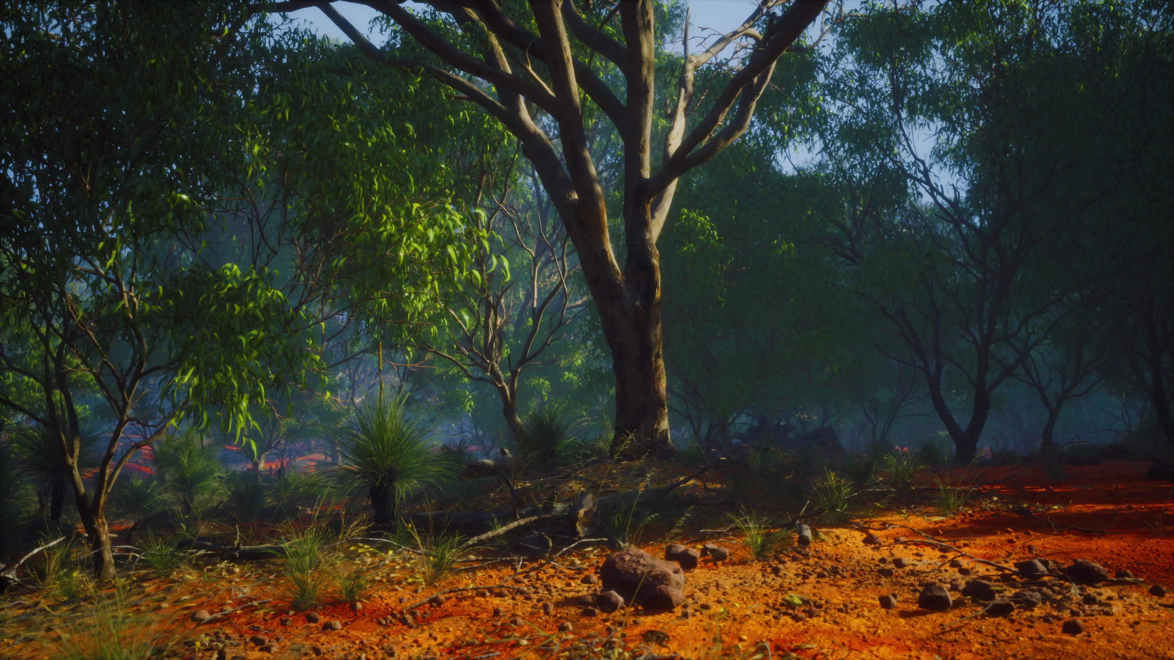 Australian Bush Wallpapers - Top Free Australian Bush Backgrounds ...