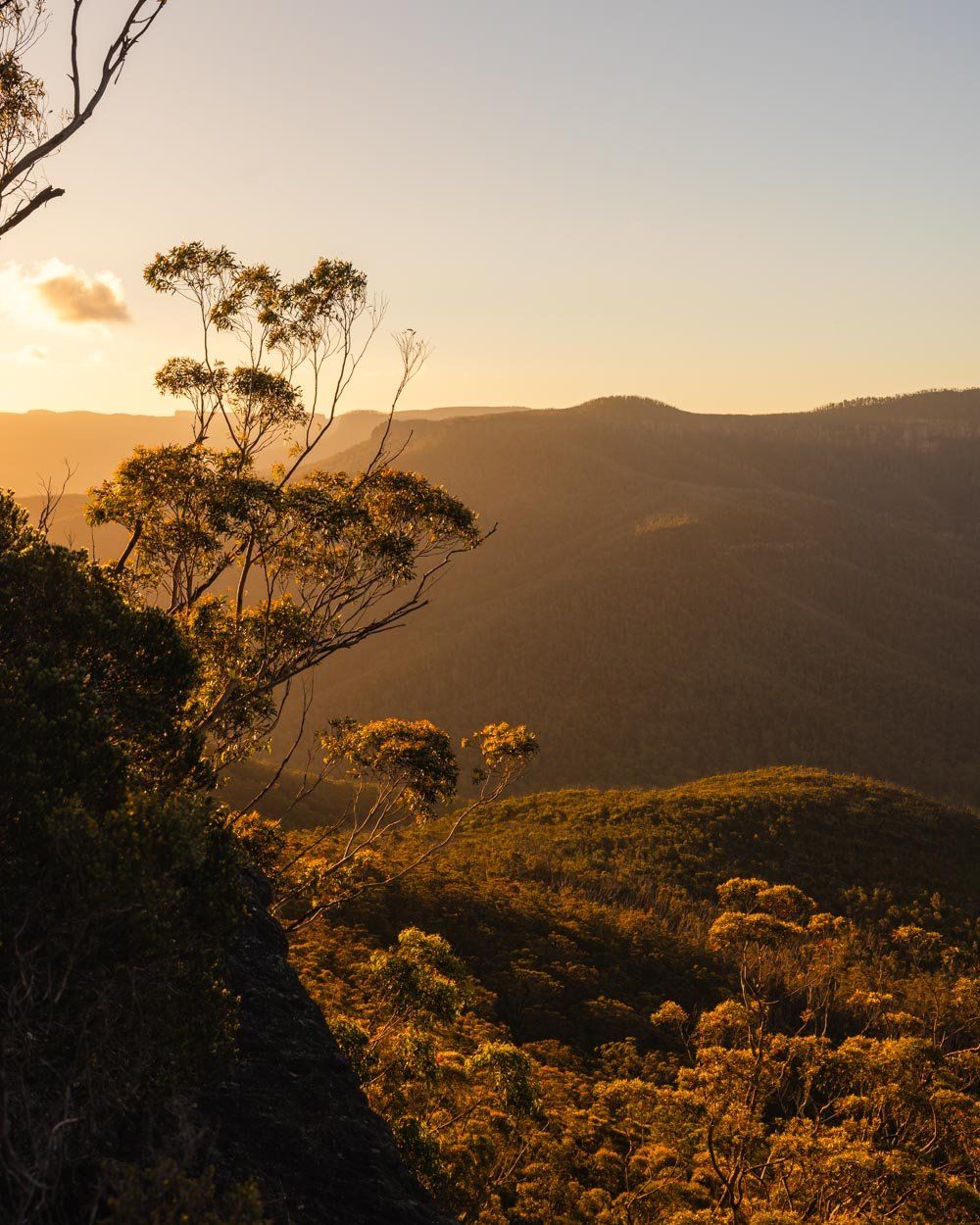 Australian Bush Wallpapers - Top Free Australian Bush Backgrounds ...