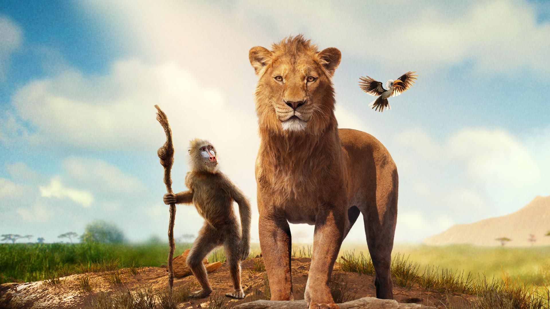 The Lion King Movie Wallpapers - Top Free The Lion King Movie ...