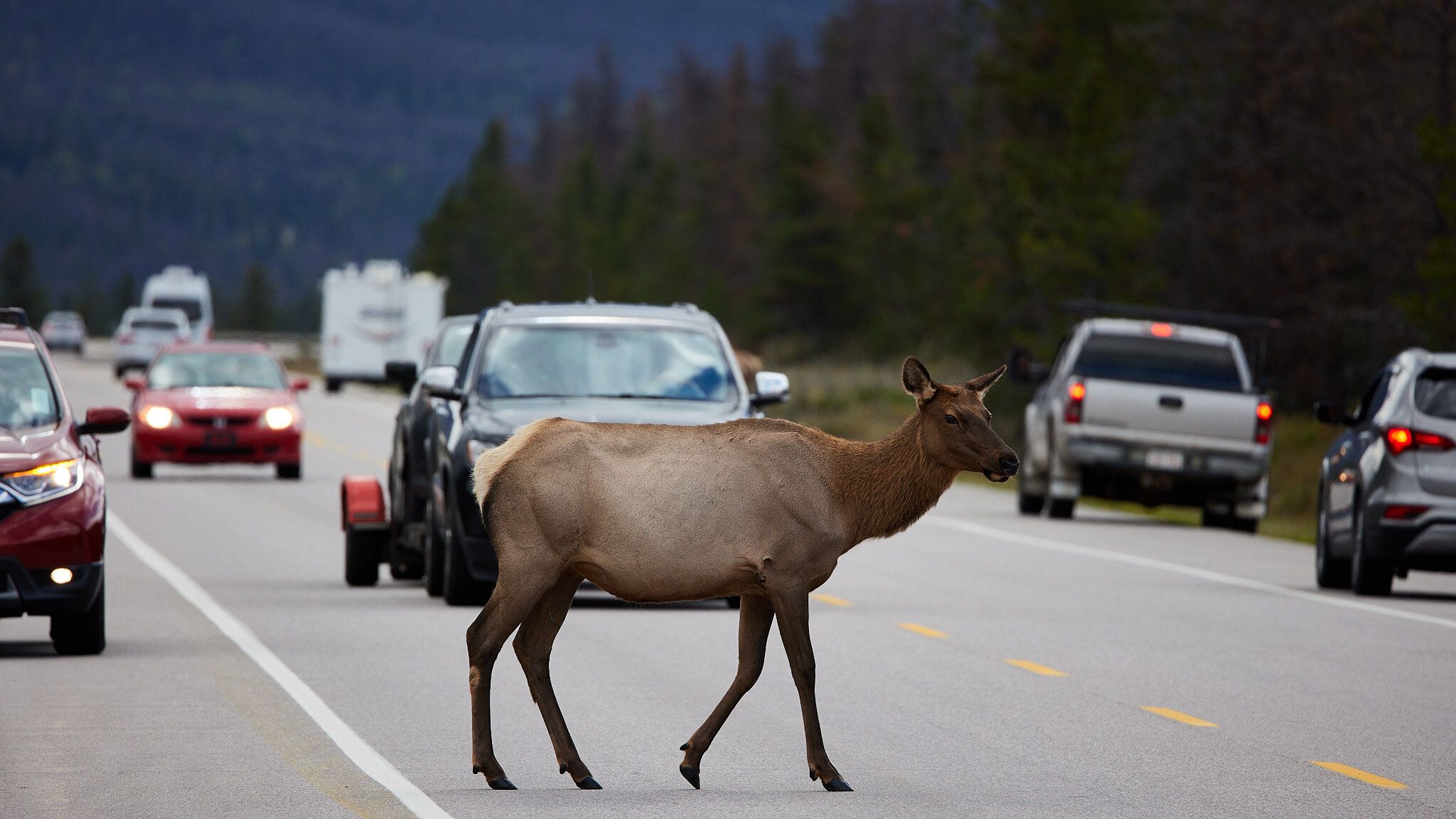 The Long Drive Wallpapers - Top Free The Long Drive Backgrounds ...