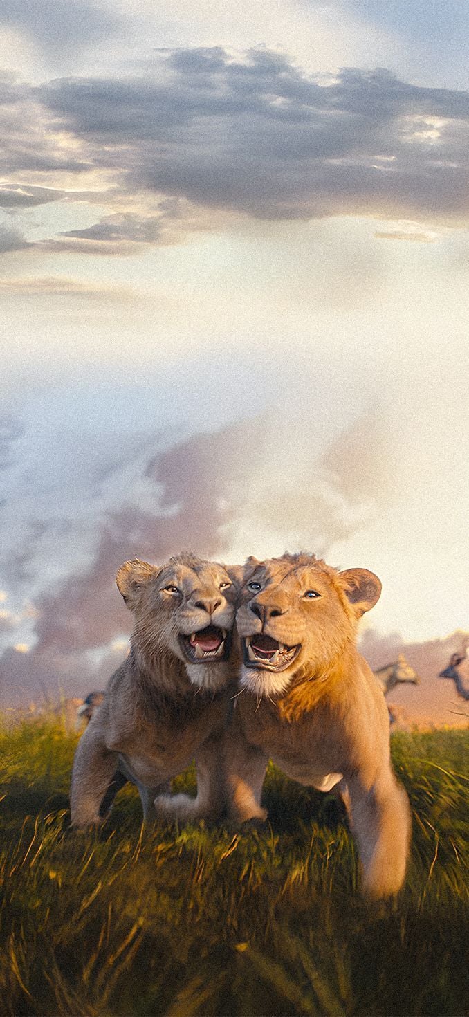 Mufasa The Lion King Wallpapers - Top Free Mufasa The Lion King ...