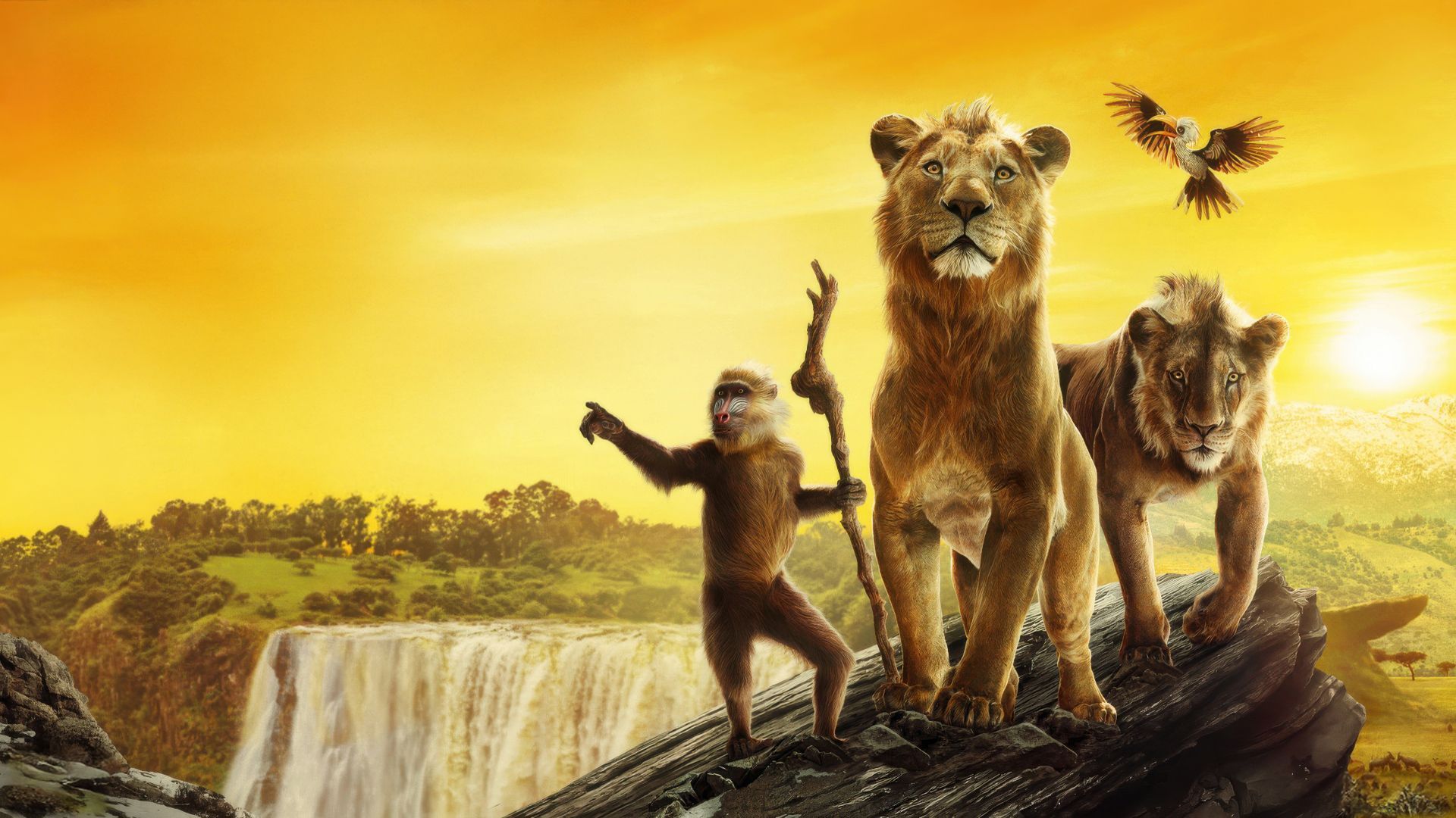 Mufasa The Lion King Wallpapers - Top Free Mufasa The Lion King ...