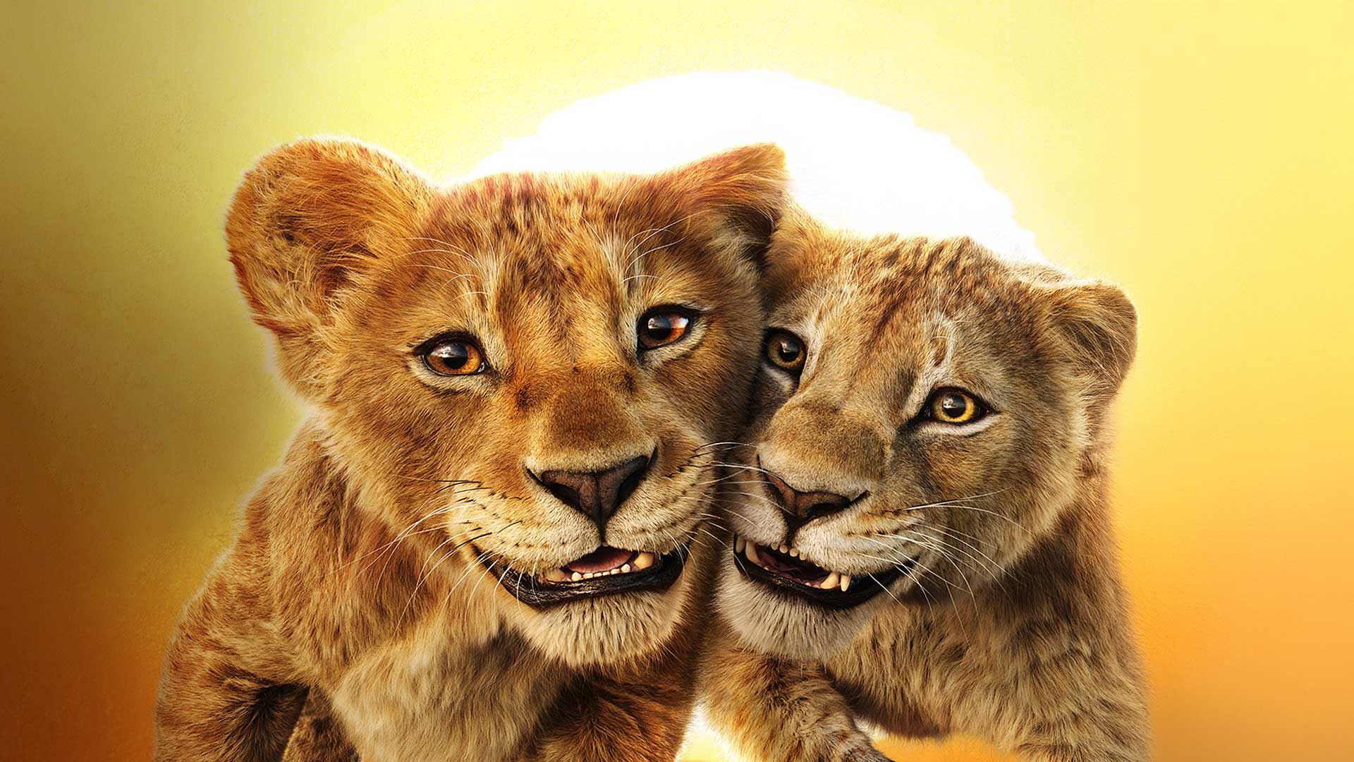 Mufasa The Lion King Wallpapers - Top Free Mufasa The Lion King ...
