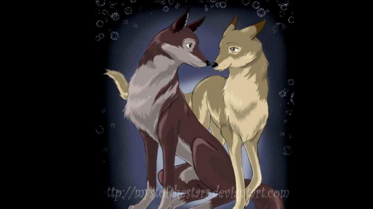 Wolf Love Wallpapers - Top Free Wolf Love Backgrounds - WallpaperAccess