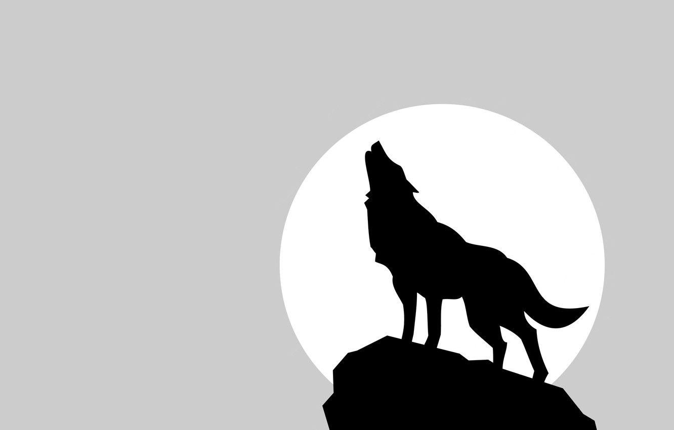 Shadow Wolf Wallpapers - Top Free Shadow Wolf Backgrounds - WallpaperAccess