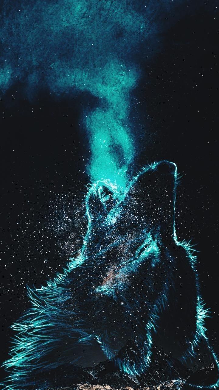Shadow Wolf Wallpapers - Top Free Shadow Wolf Backgrounds - WallpaperAccess