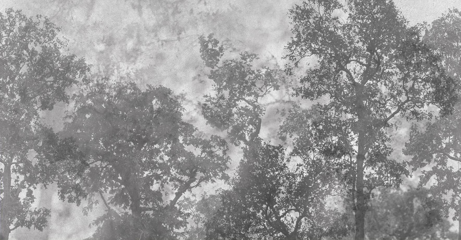 Grey Theme Wallpapers - Top Free Grey Theme Backgrounds - WallpaperAccess