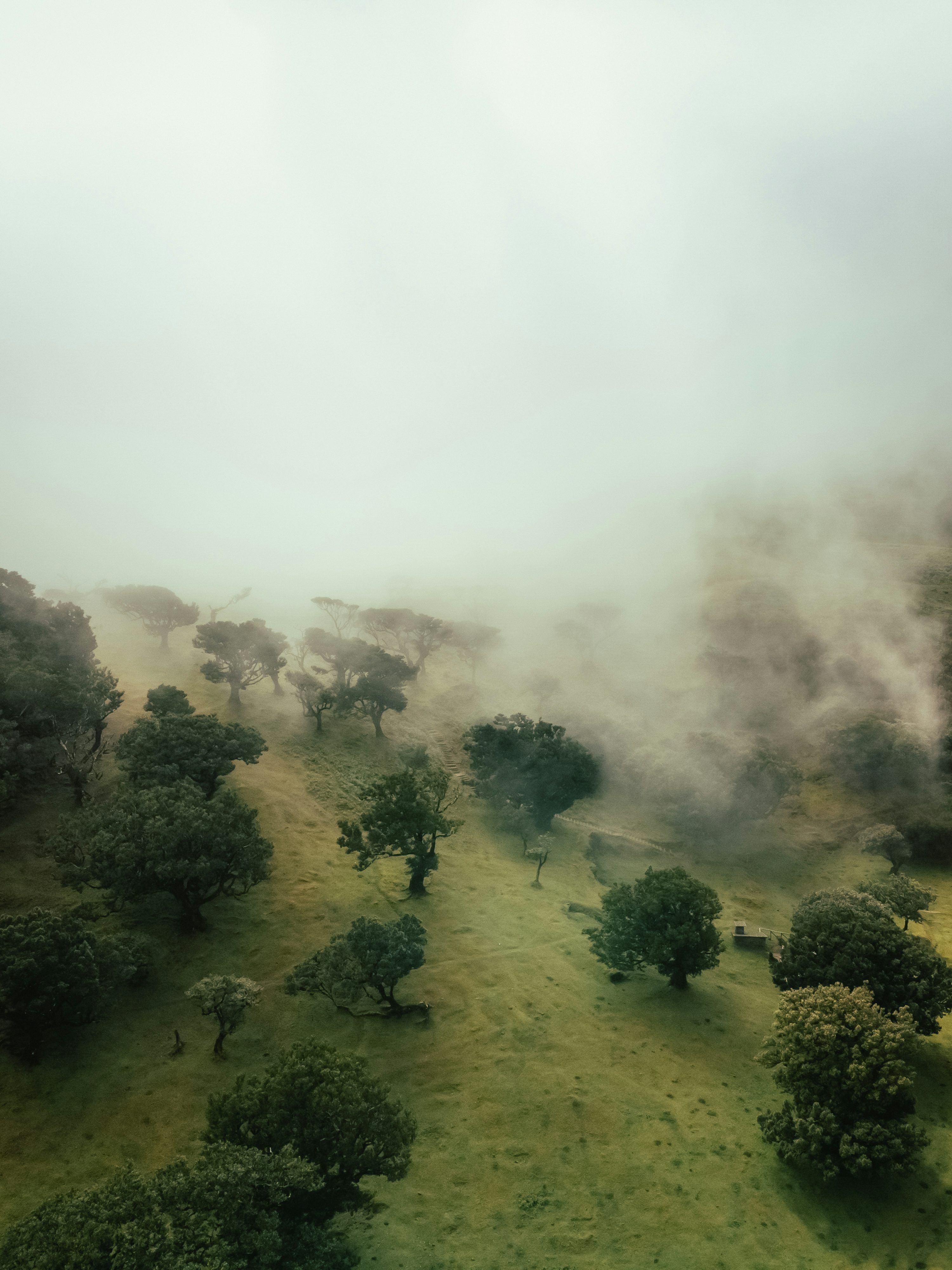 Foggy Weather Wallpapers - Top Free Foggy Weather Backgrounds ...