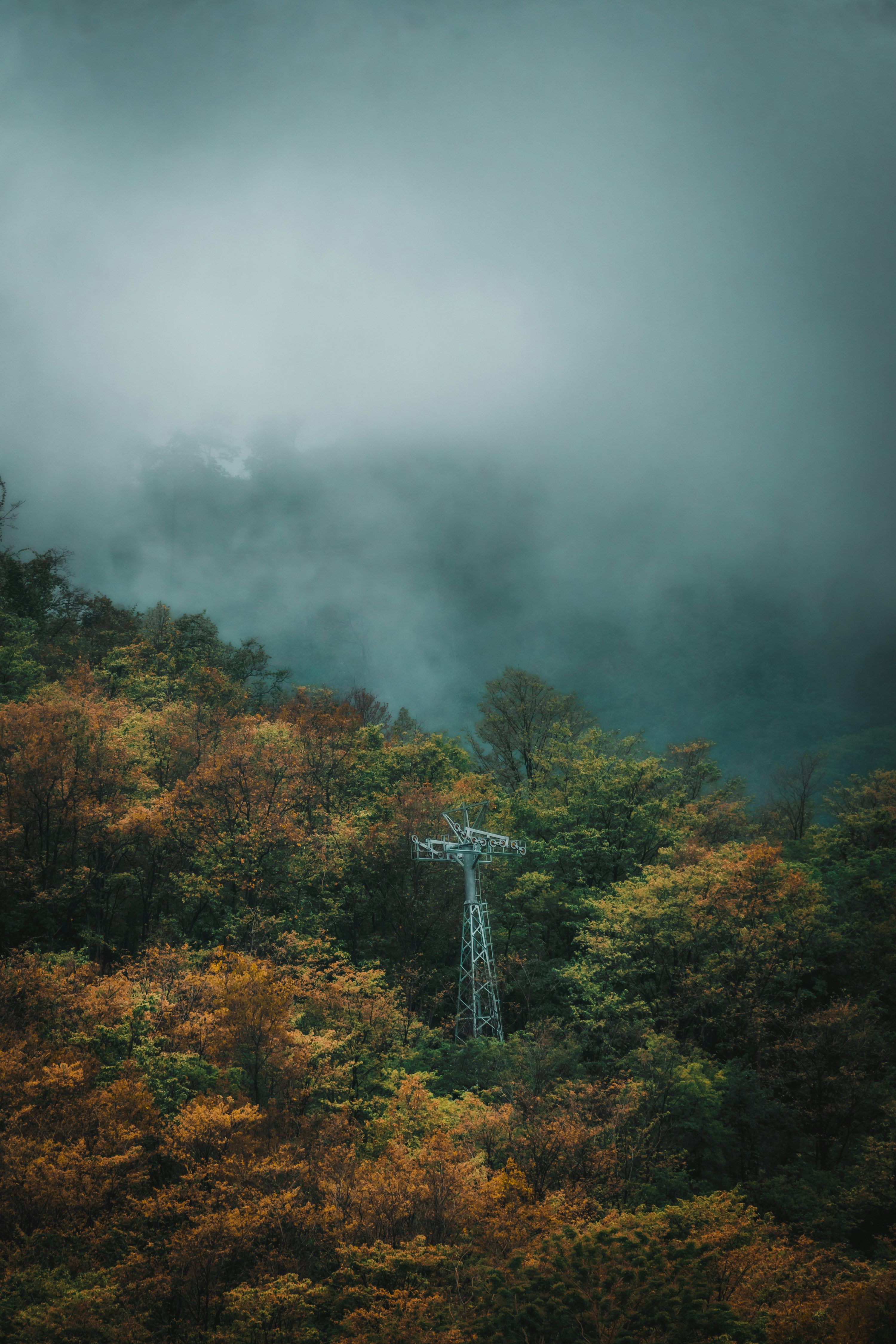 Foggy Weather Wallpapers - Top Free Foggy Weather Backgrounds ...