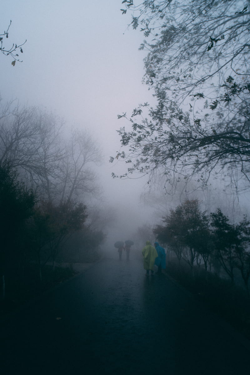 Foggy Weather Wallpapers - Top Free Foggy Weather Backgrounds ...