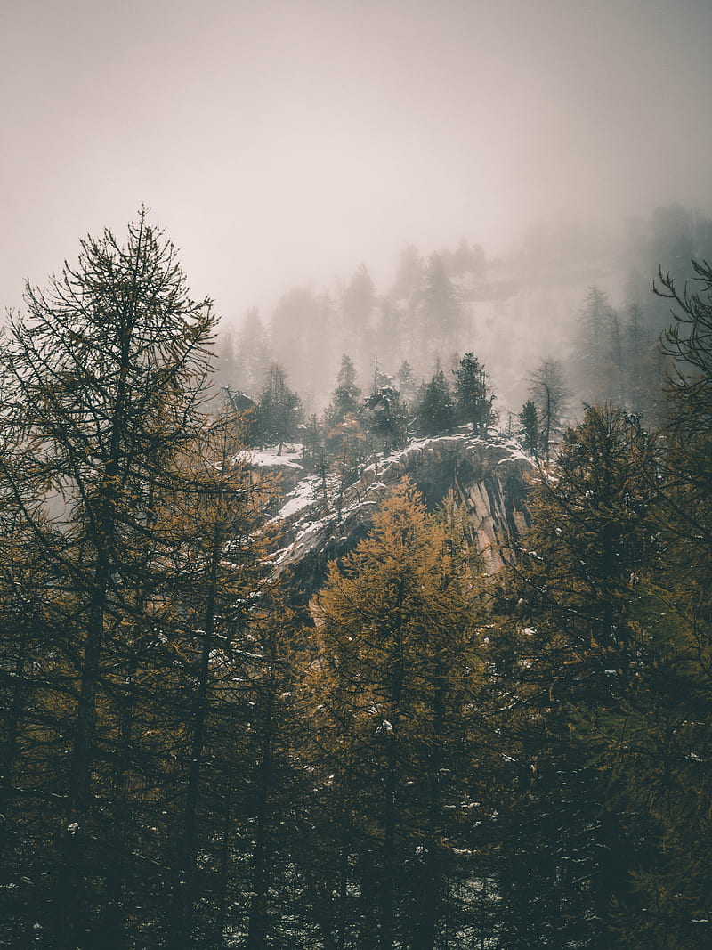 Foggy Weather Wallpapers - Top Free Foggy Weather Backgrounds ...