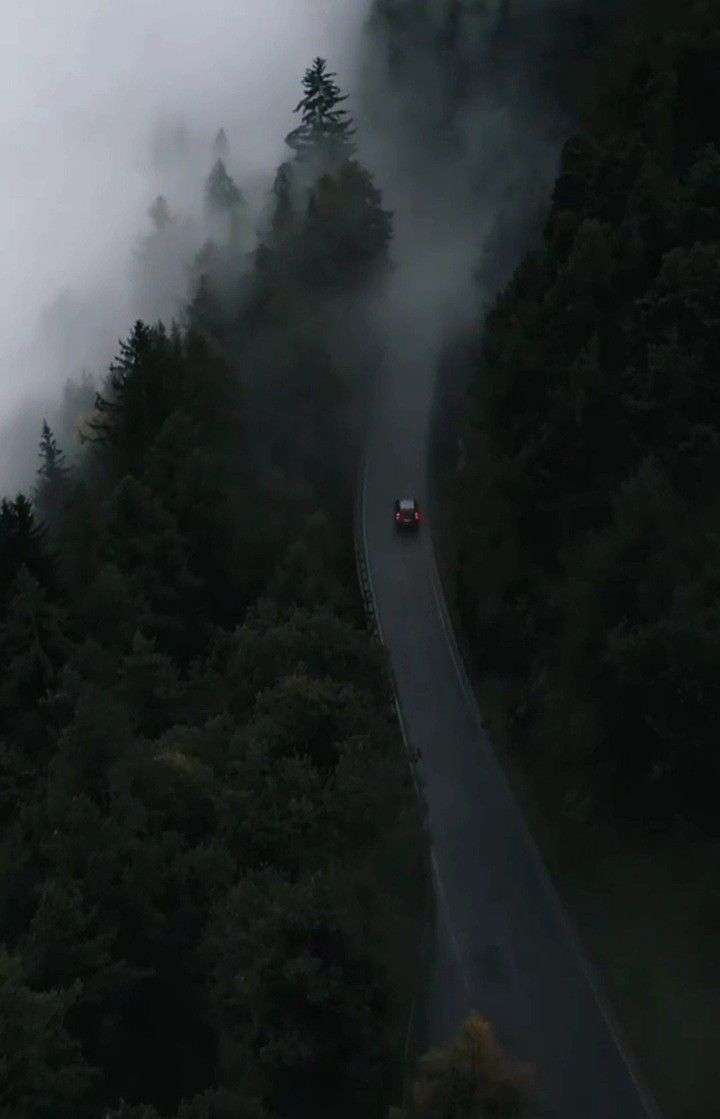Foggy Weather Wallpapers - Top Free Foggy Weather Backgrounds ...