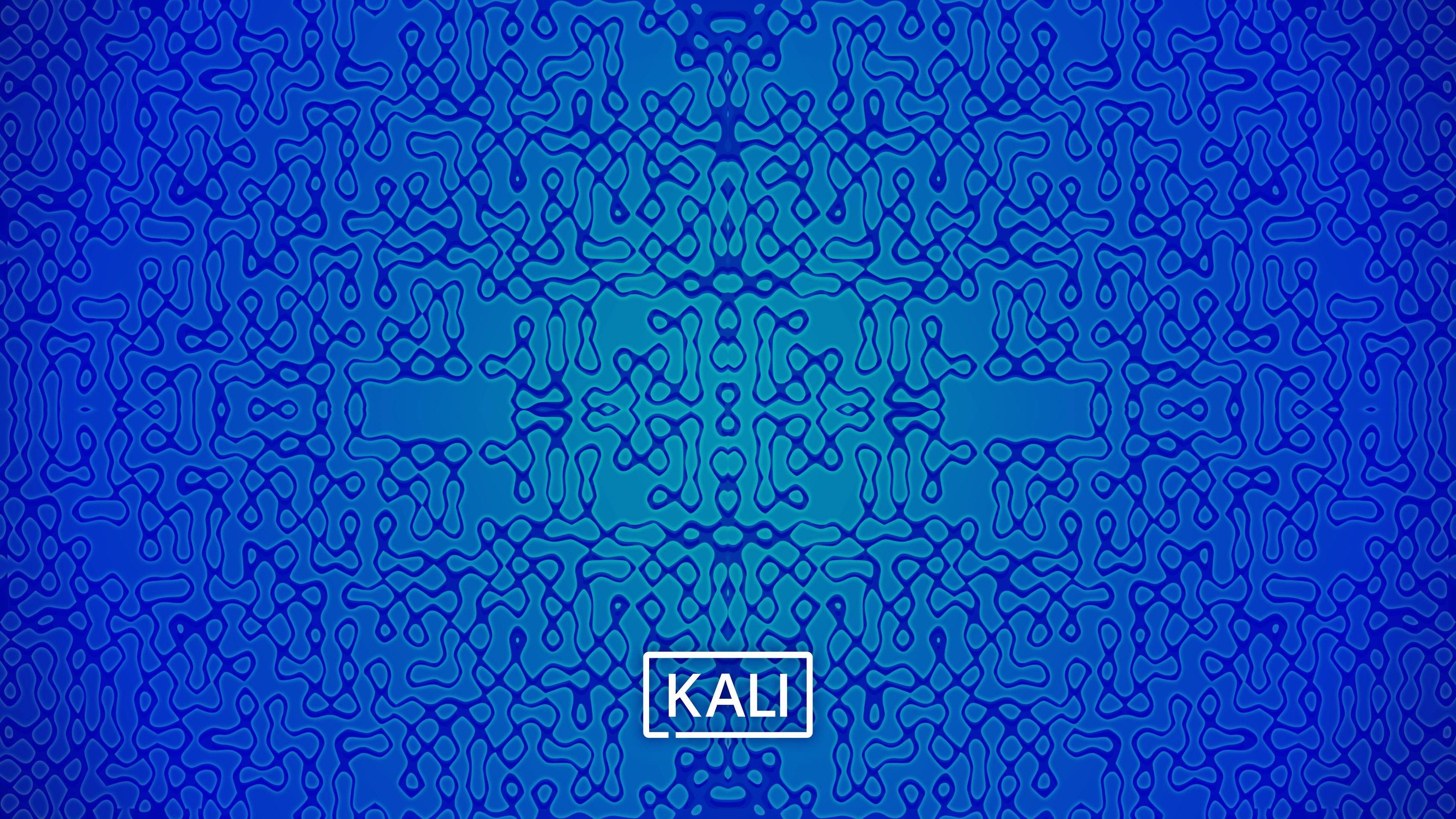 Kali Linux Blue Wallpapers - Top Free Kali Linux Blue Backgrounds ...