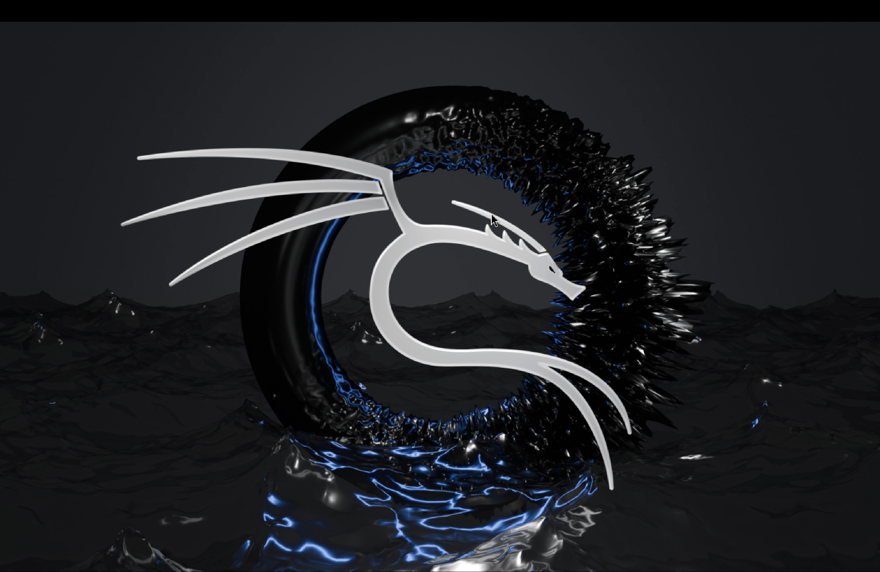 Kali Linux Blue Wallpapers - Top Free Kali Linux Blue Backgrounds ...