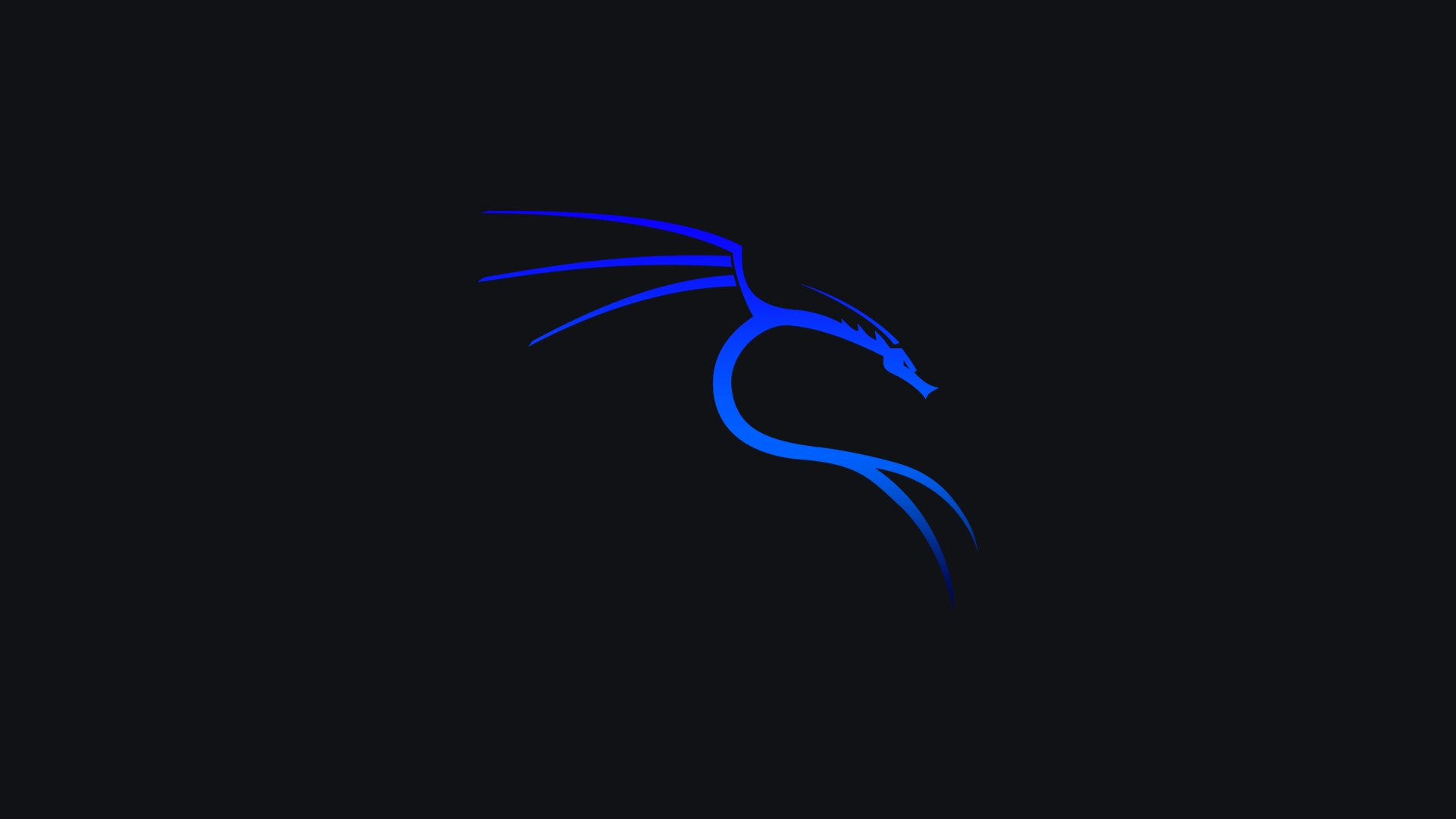 Kali Linux Blue Wallpapers - Top Free Kali Linux Blue Backgrounds ...
