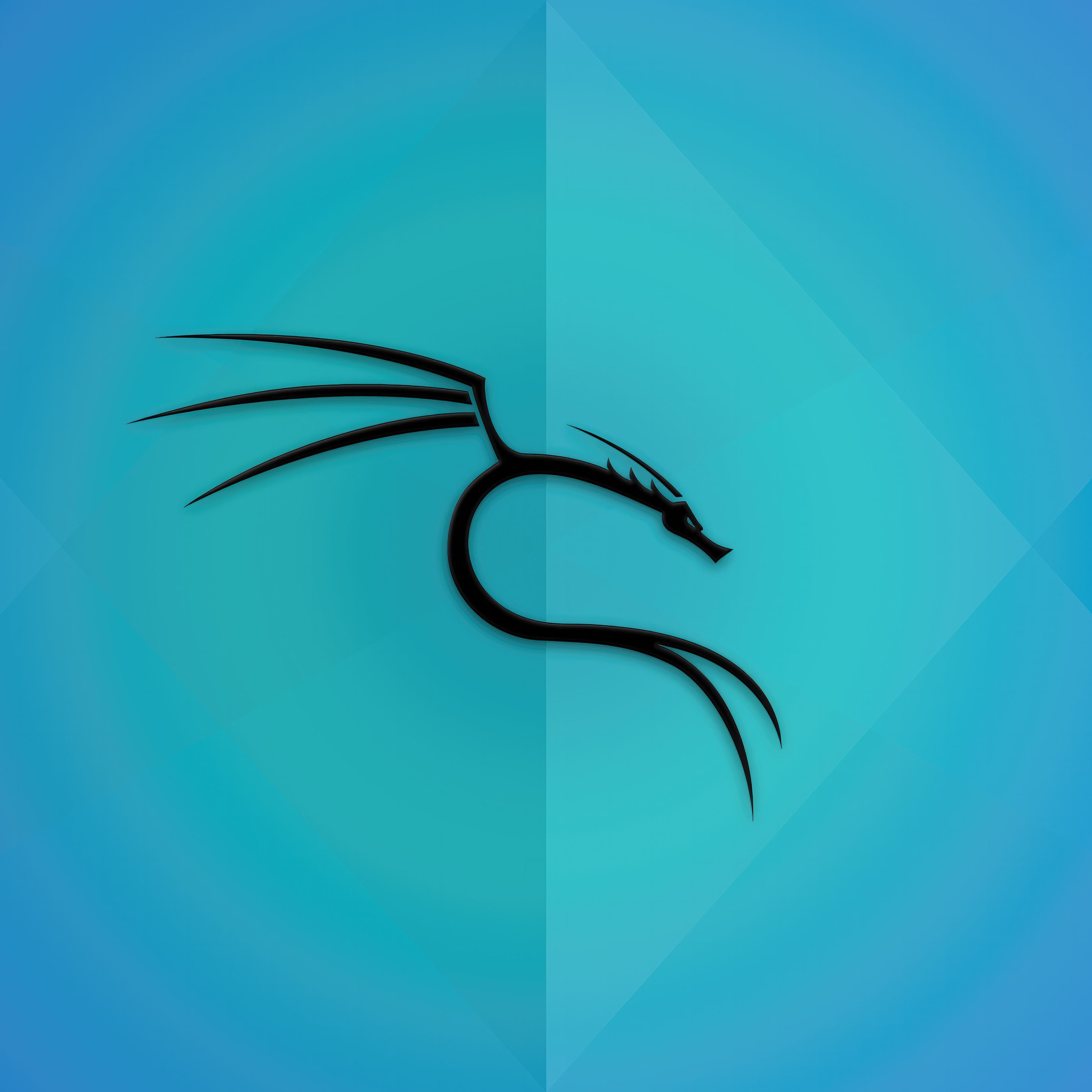 Kali Linux Blue Wallpapers - Top Free Kali Linux Blue Backgrounds ...