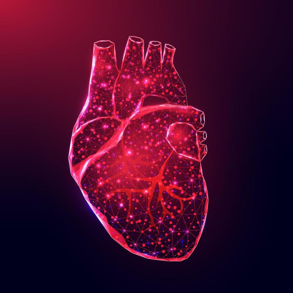 Cardiovascular System Wallpapers - Top Free Cardiovascular System ...