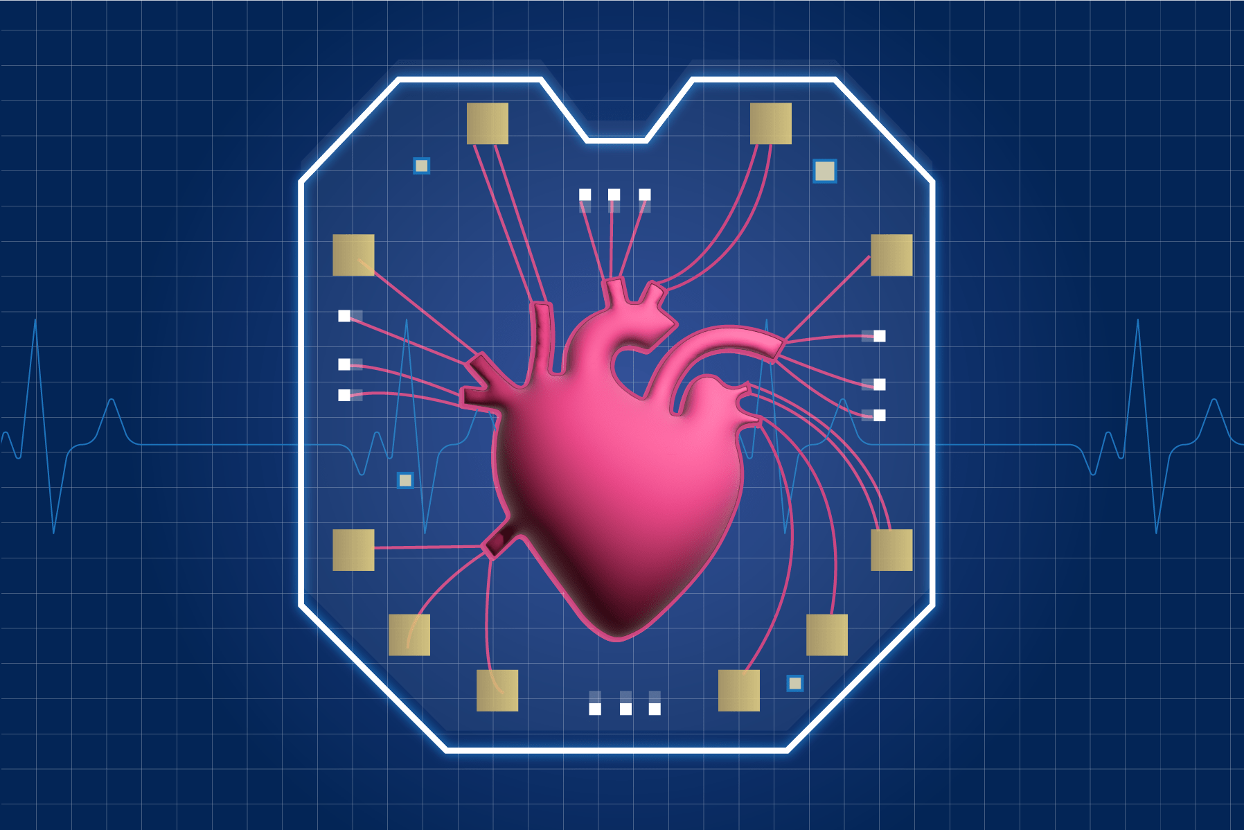 Cardiovascular System Wallpapers - Top Free Cardiovascular System ...