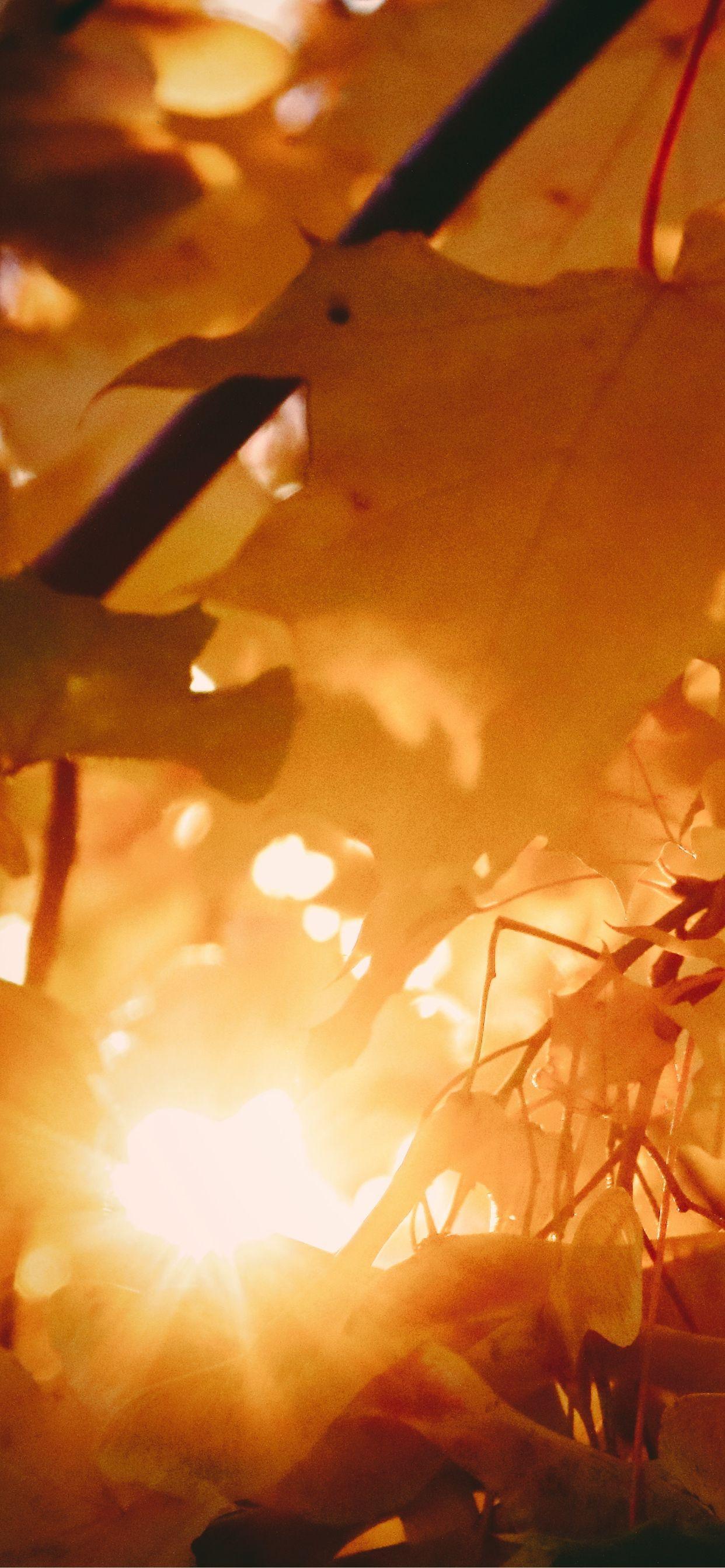 Rustic Autumn Wallpapers - Top Free Rustic Autumn Backgrounds ...