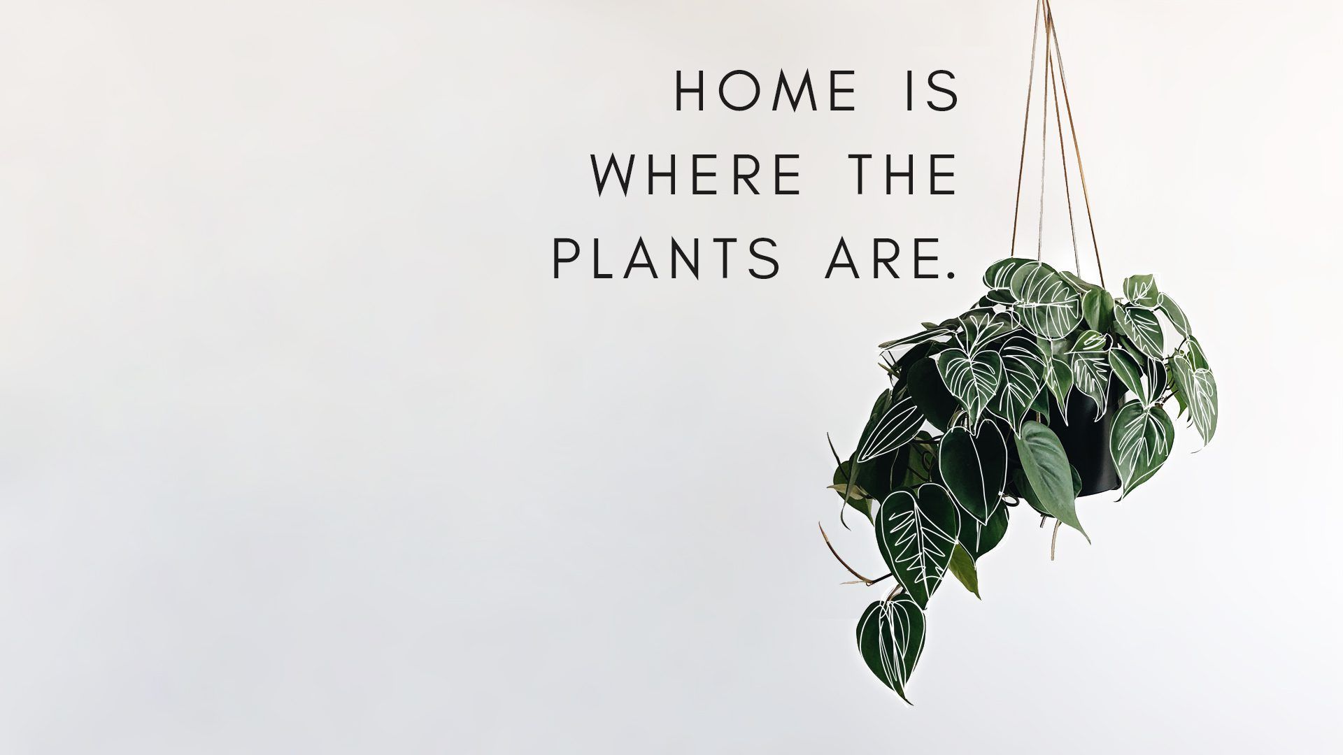 Spring Quotes Wallpapers - Top Free Spring Quotes Backgrounds ...