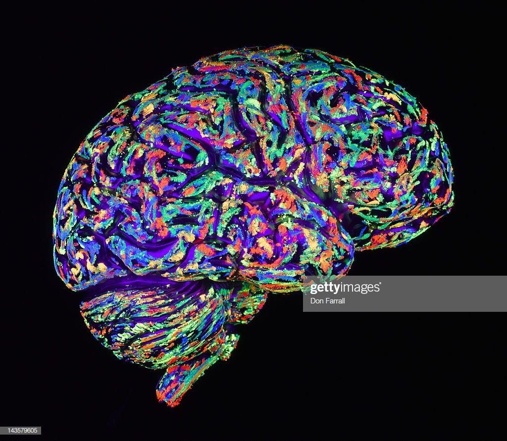 Human Brain Wallpapers - Top Free Human Brain Backgrounds - WallpaperAccess