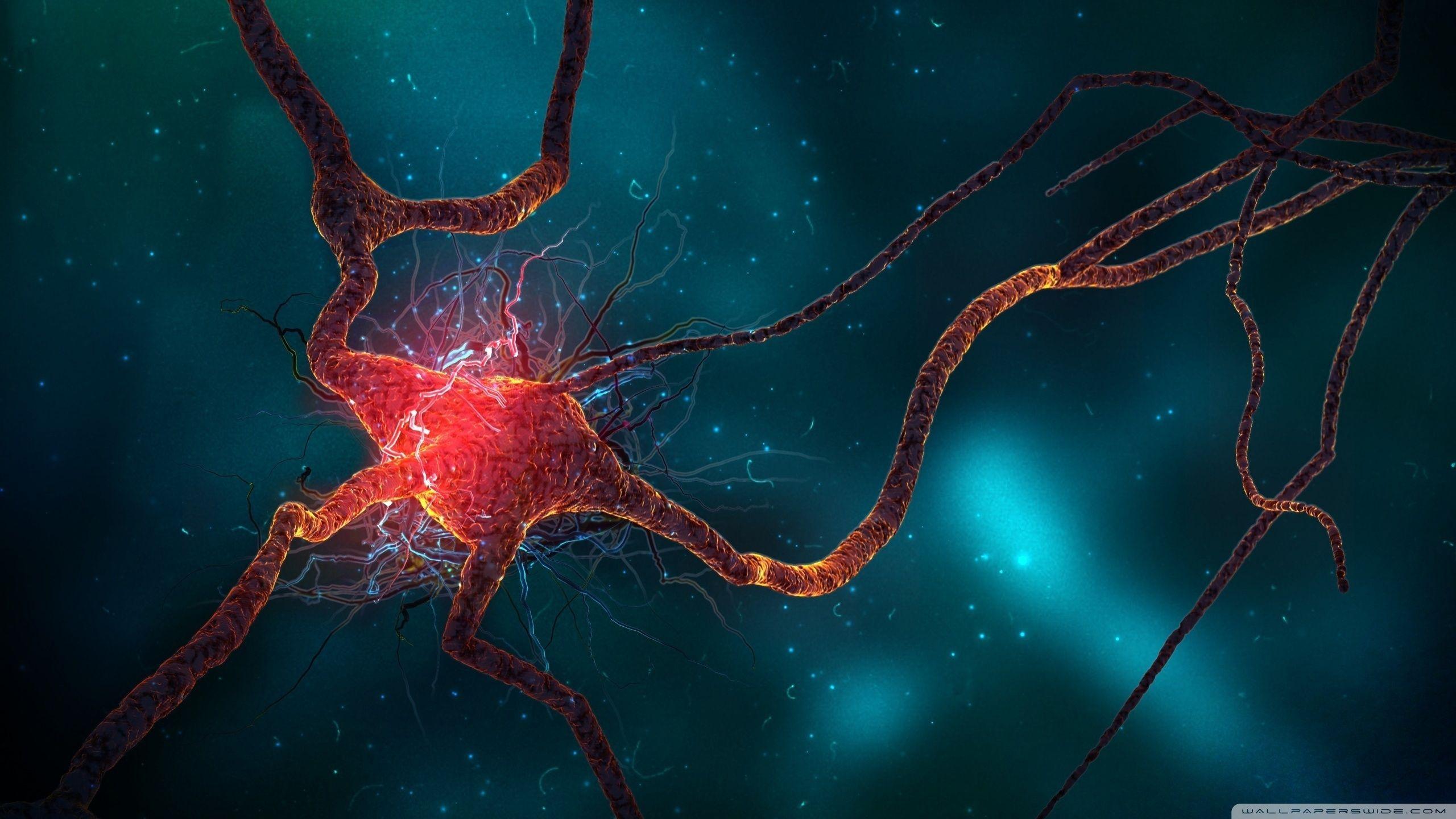 Neuron Wallpapers - Top Free Neuron Backgrounds - WallpaperAccess
