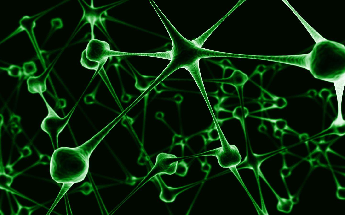 Neuron Wallpapers - Top Free Neuron Backgrounds - WallpaperAccess