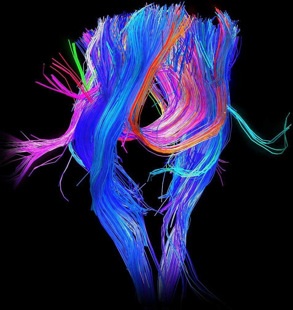 Neuroscience Wallpapers - Top Free Neuroscience Backgrounds ...