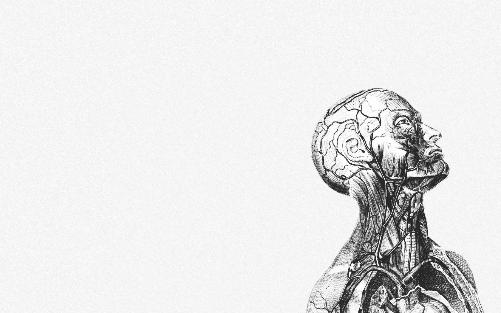 Human Brain Wallpapers - Top Free Human Brain Backgrounds - WallpaperAccess