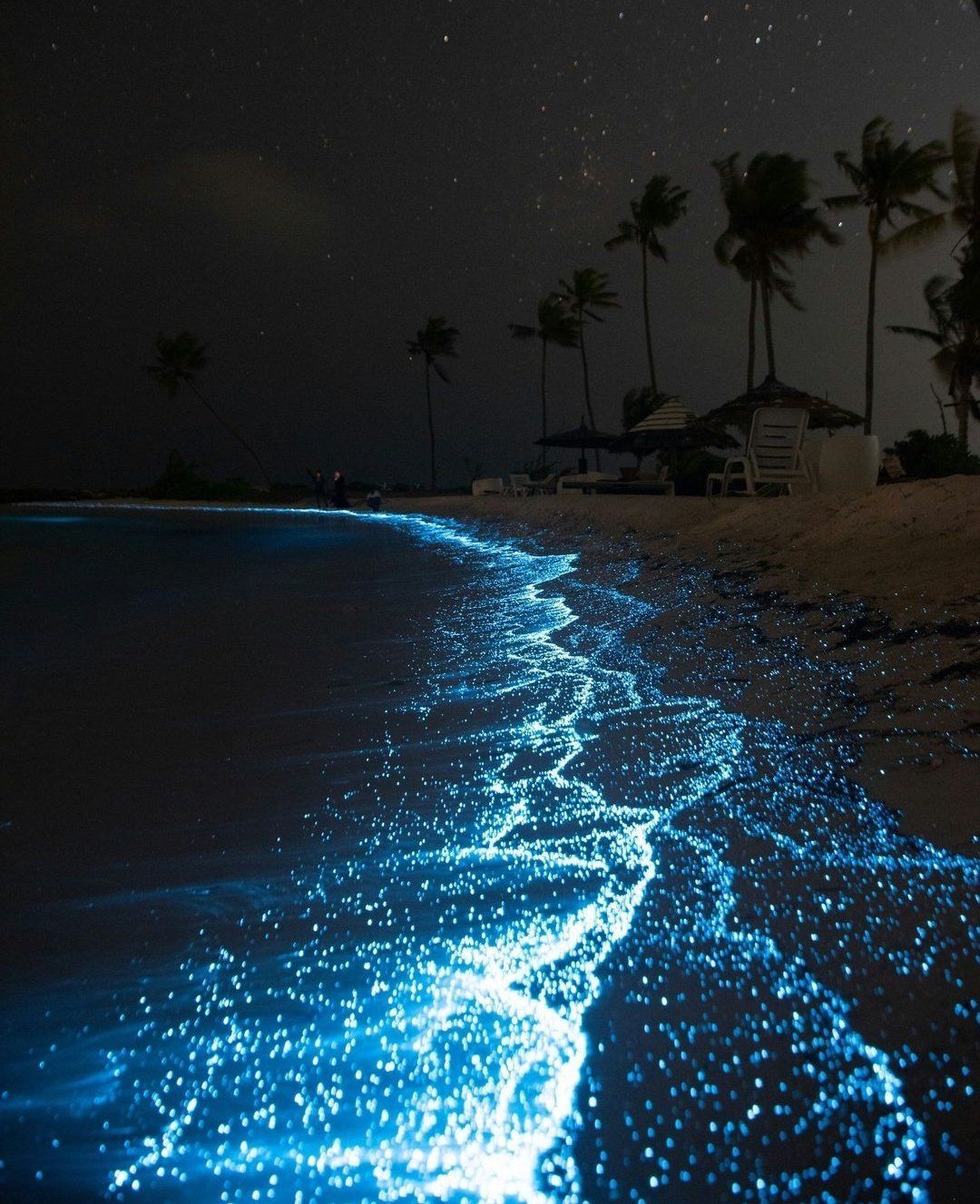 Indian Beach Wallpapers - Top Free Indian Beach Backgrounds ...