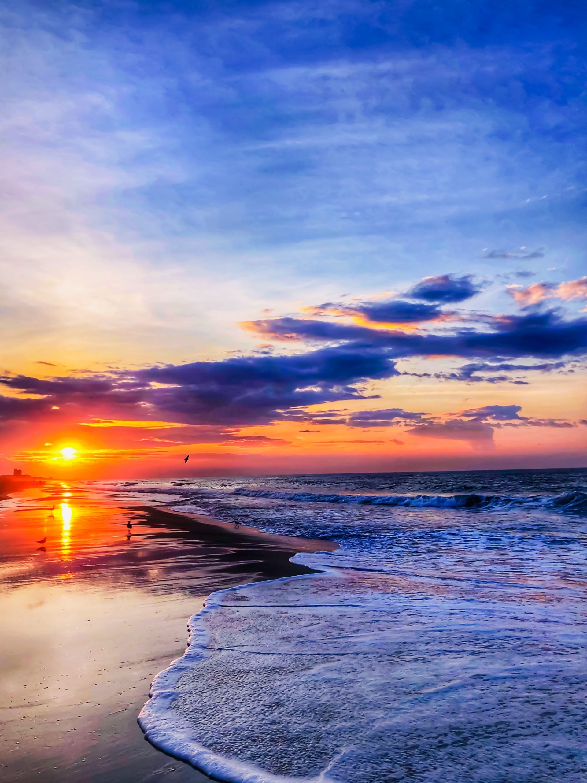 Indian Beach Wallpapers - Top Free Indian Beach Backgrounds ...