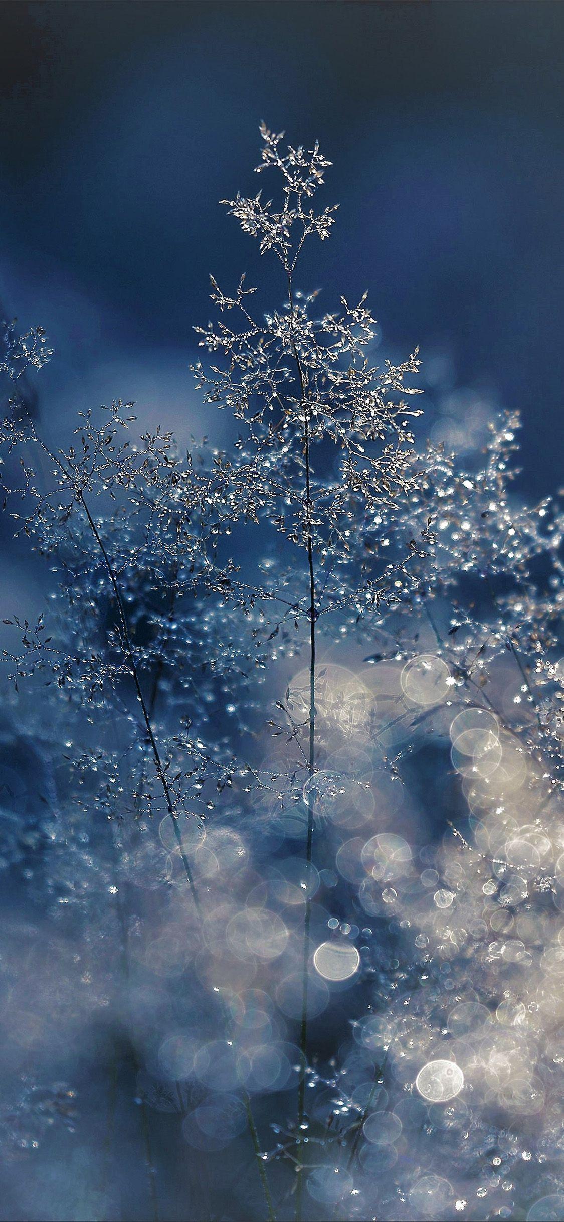 Light Snow Wallpapers - Top Free Light Snow Backgrounds - WallpaperAccess