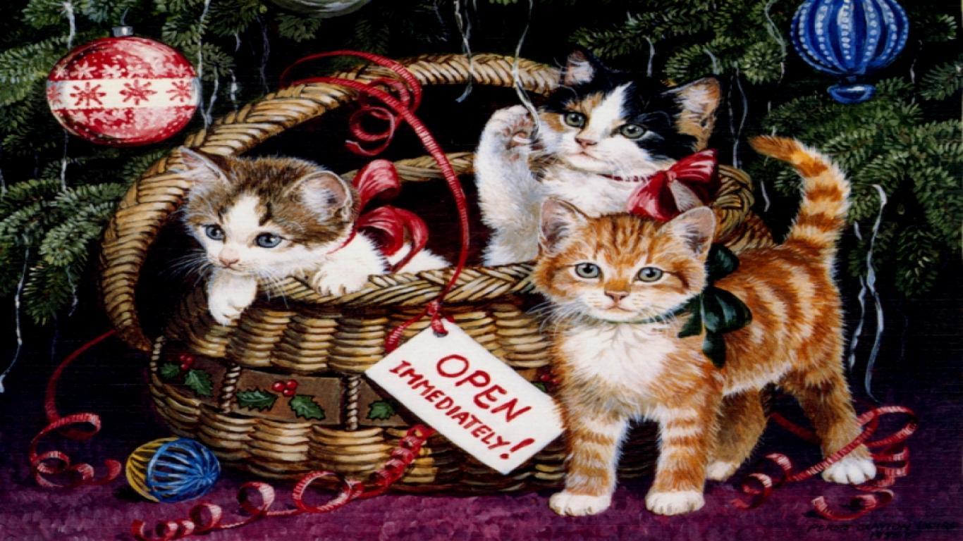 Cute Christmas Cat Desktop Wallpapers - Top Free Cute Christmas Cat ...
