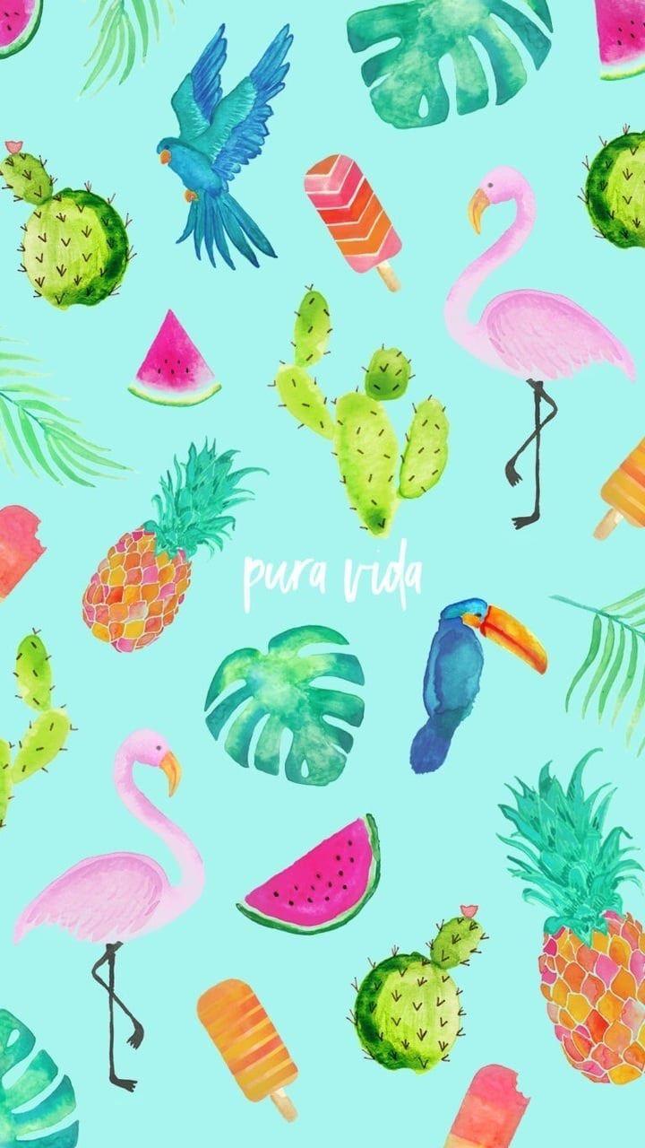 Summer Cartoon Wallpapers - Top Free Summer Cartoon Backgrounds - WallpaperAccess