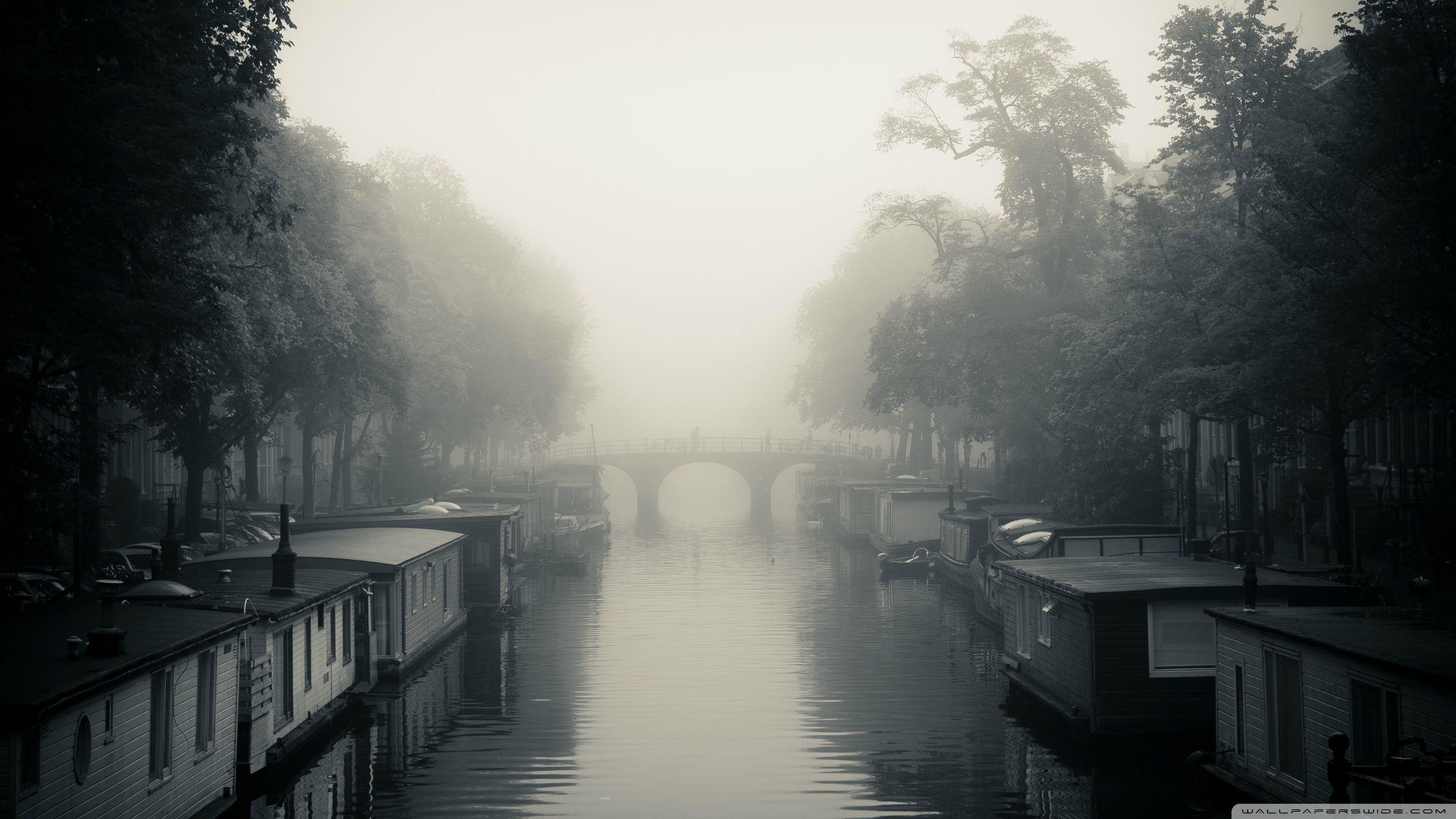 Foggy Wallpapers - Top Free Foggy Backgrounds - WallpaperAccess