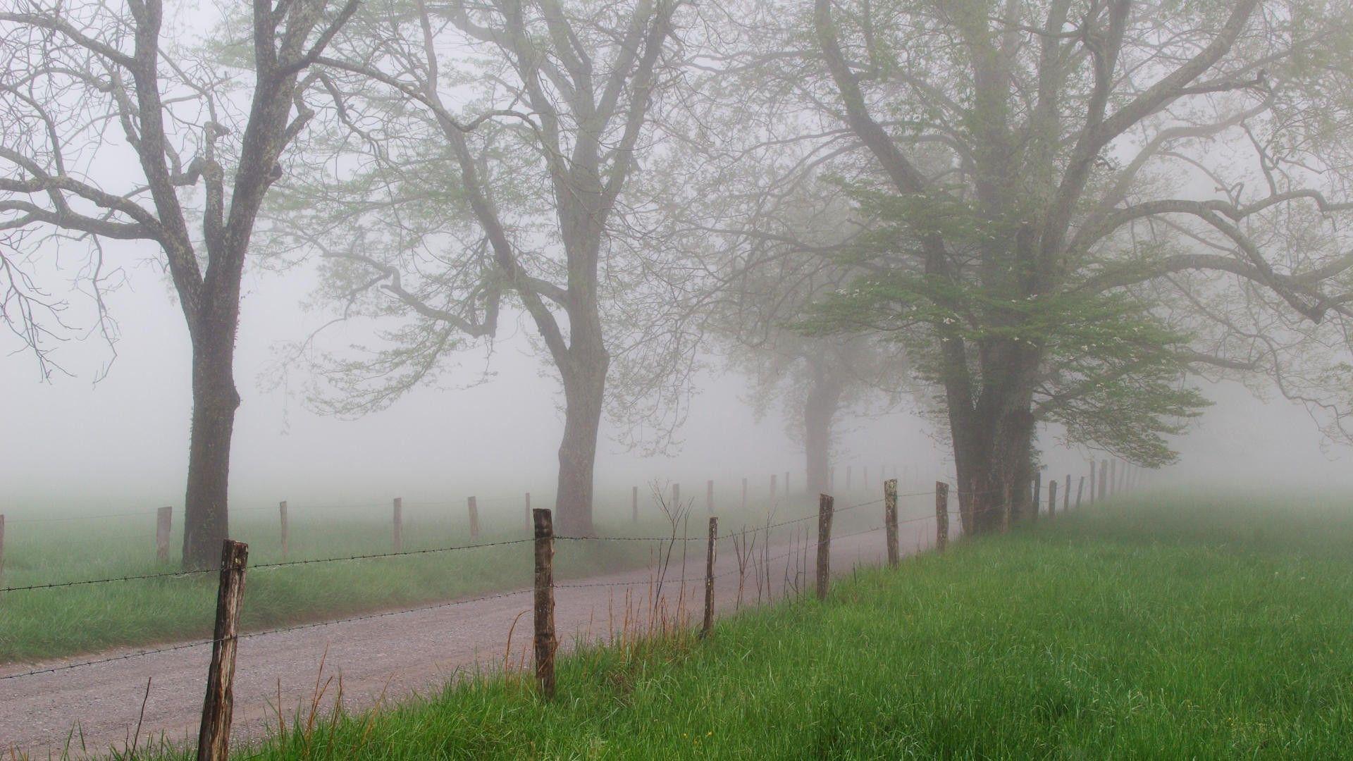 Foggy Wallpapers - Top Free Foggy Backgrounds - WallpaperAccess