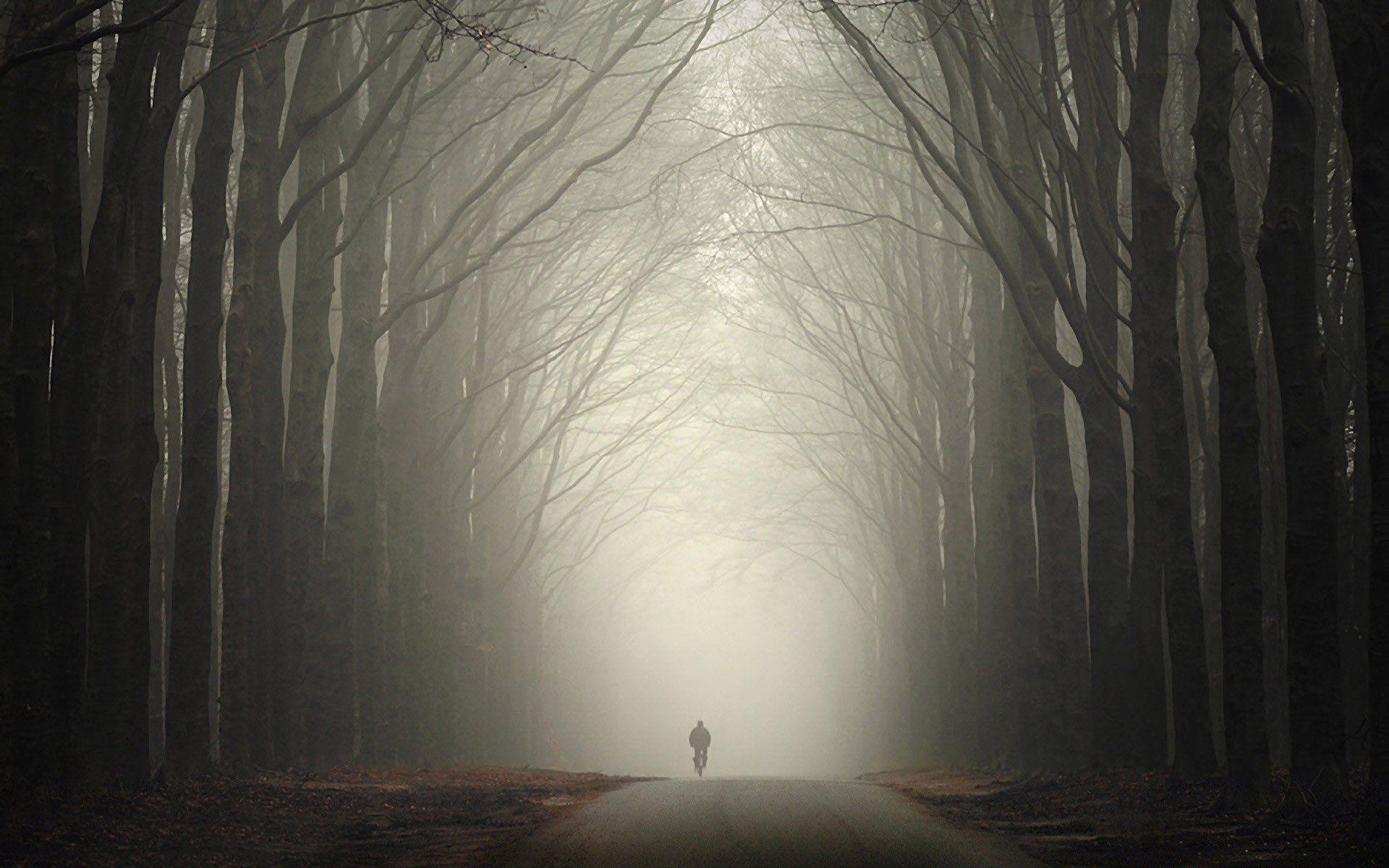 Foggy Autumn Wallpapers - Top Free Foggy Autumn Backgrounds ...