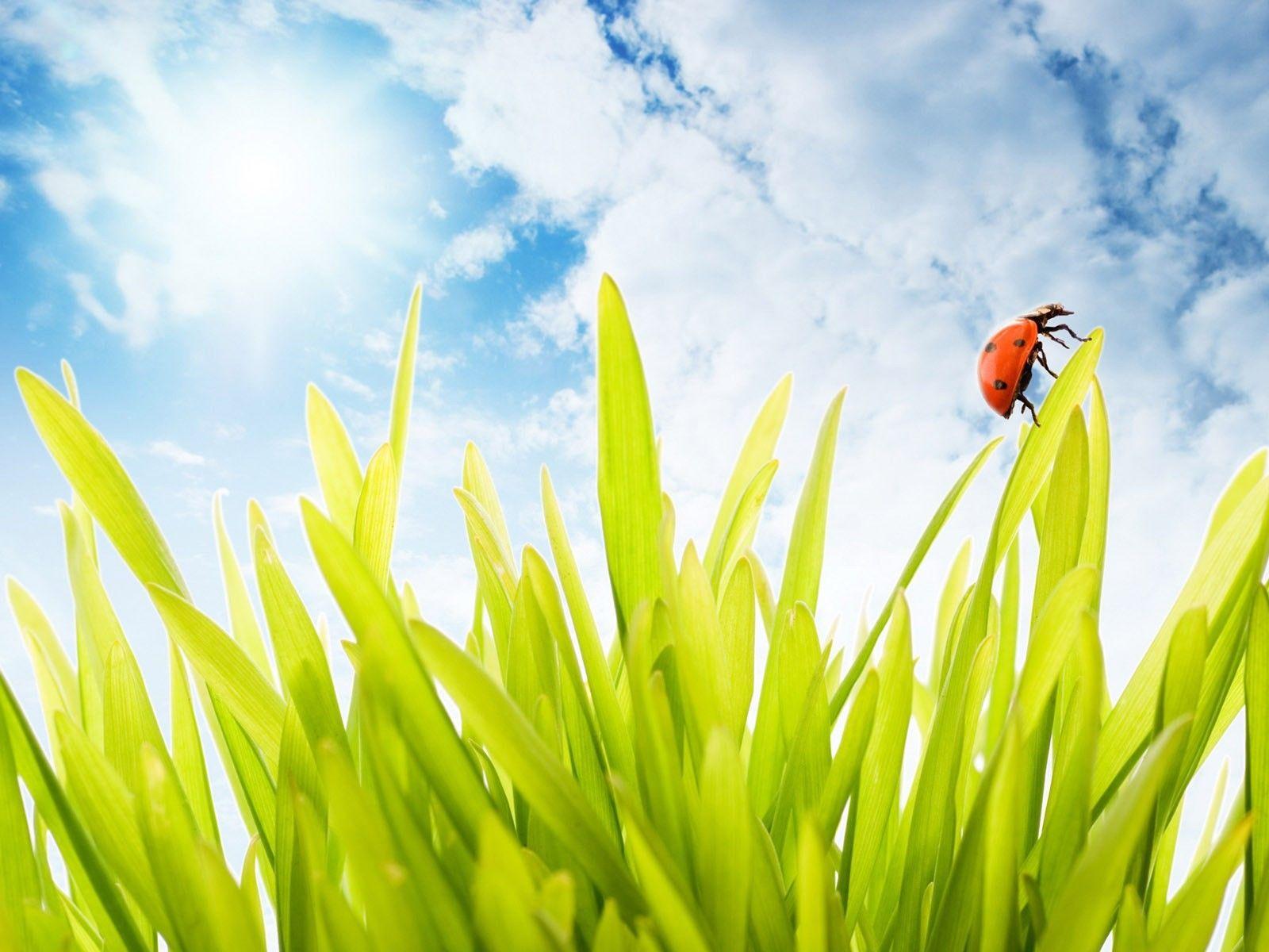 Fresh Wallpapers - Top Free Fresh Backgrounds - WallpaperAccess