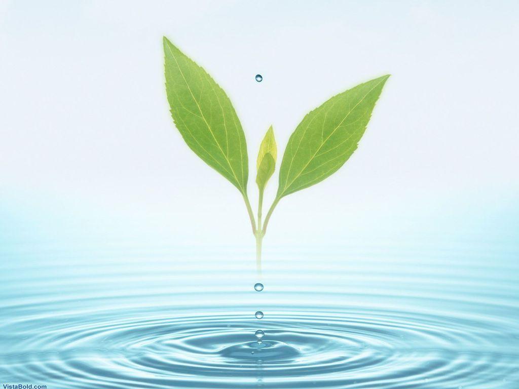 Fresh Wallpapers - Top Free Fresh Backgrounds - WallpaperAccess