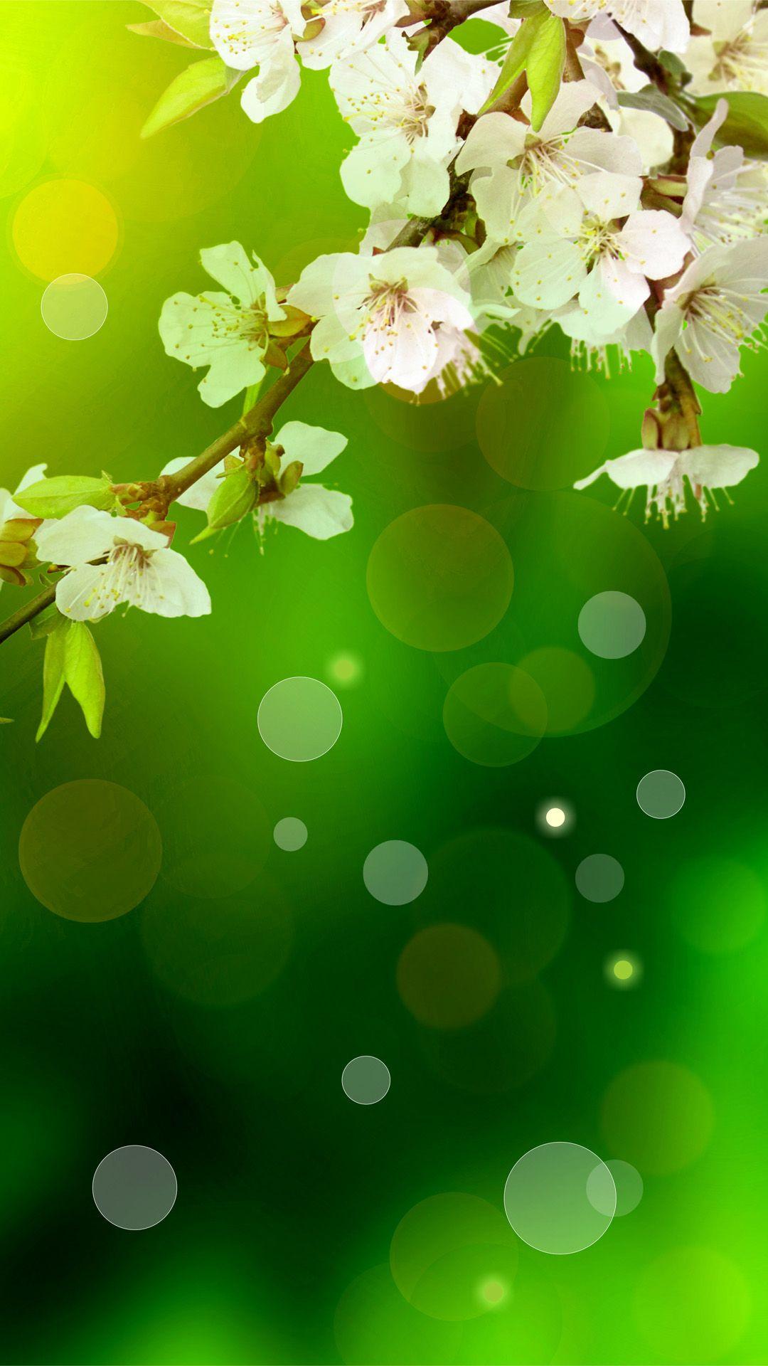 Fresh Wallpapers - Top Free Fresh Backgrounds - WallpaperAccess