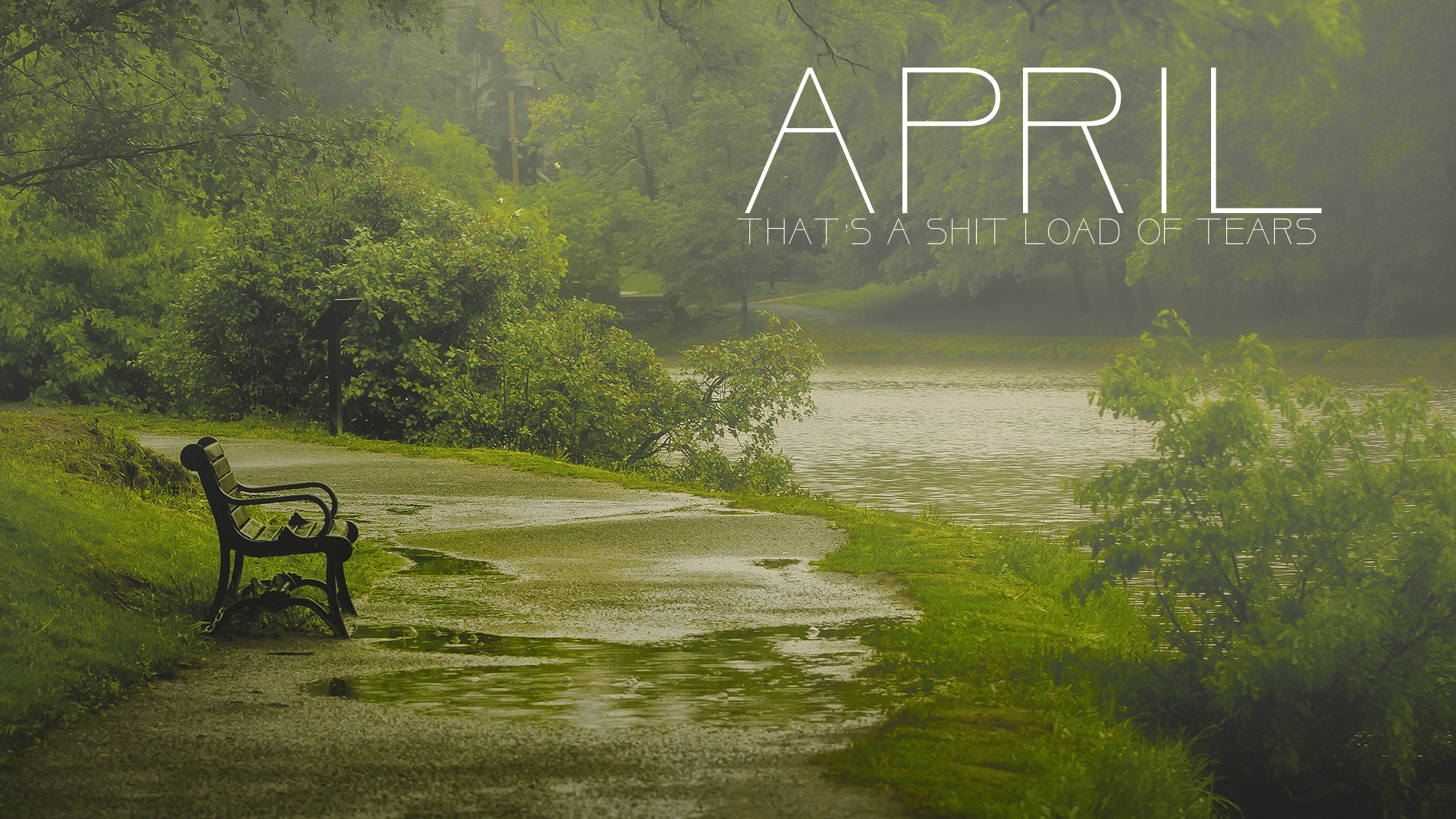 Sarcastic Wallpapers - Top Free Sarcastic Backgrounds - WallpaperAccess